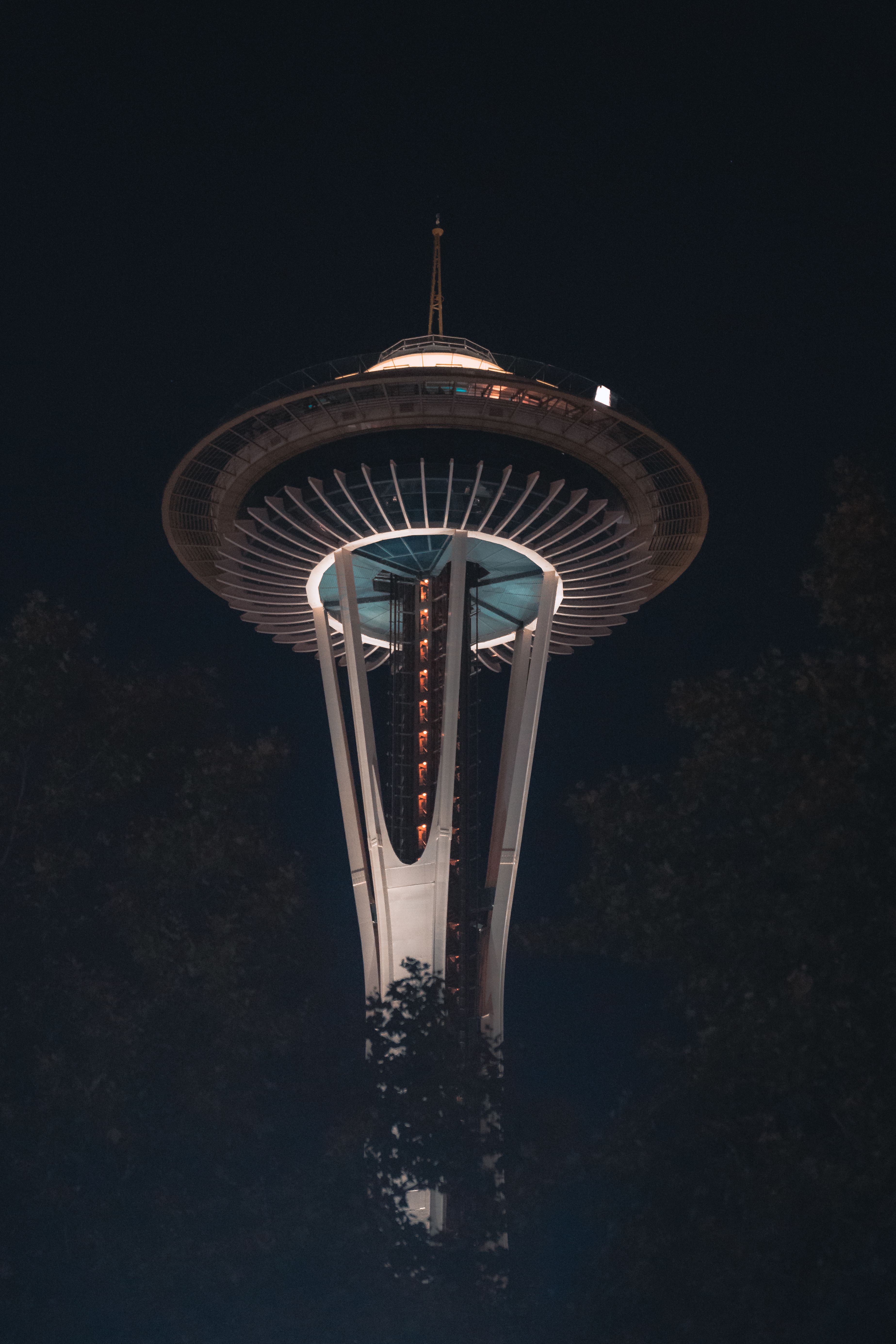 Illuminated Space Needle at Night · Free Stock Photo