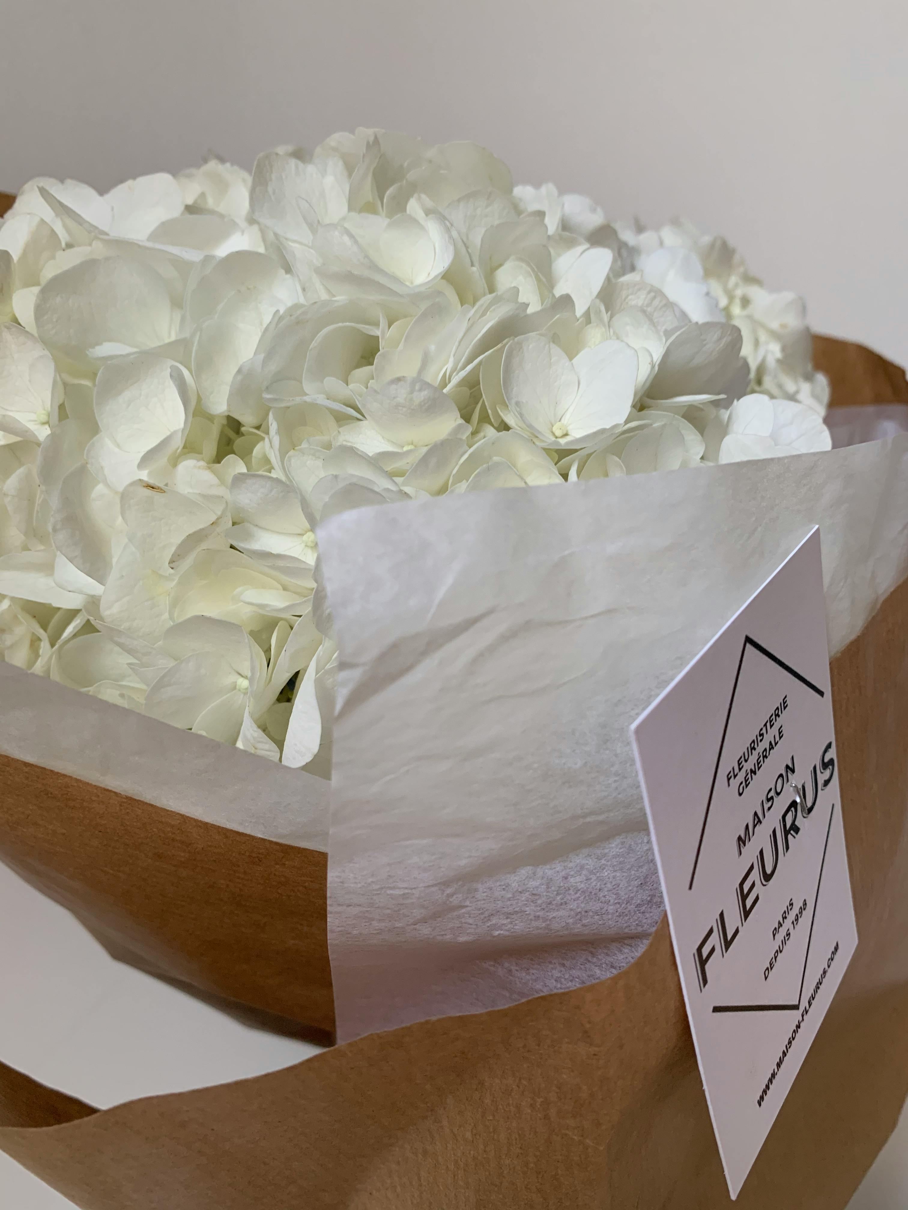 Property Card Photos, Download The BEST Free Property Card Stock Photos ...