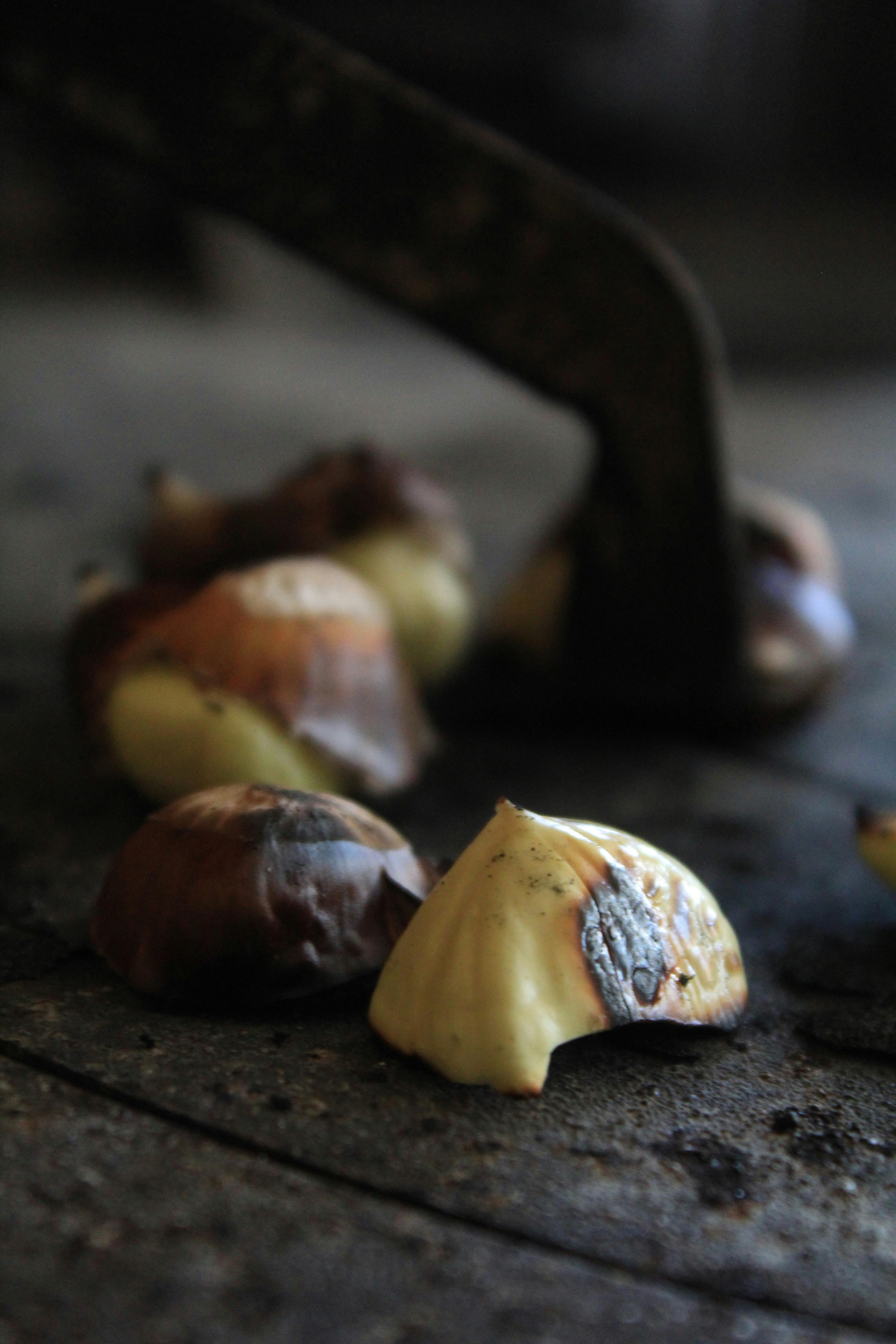 Close up of Roasted Chestnuts · Free Stock Photo