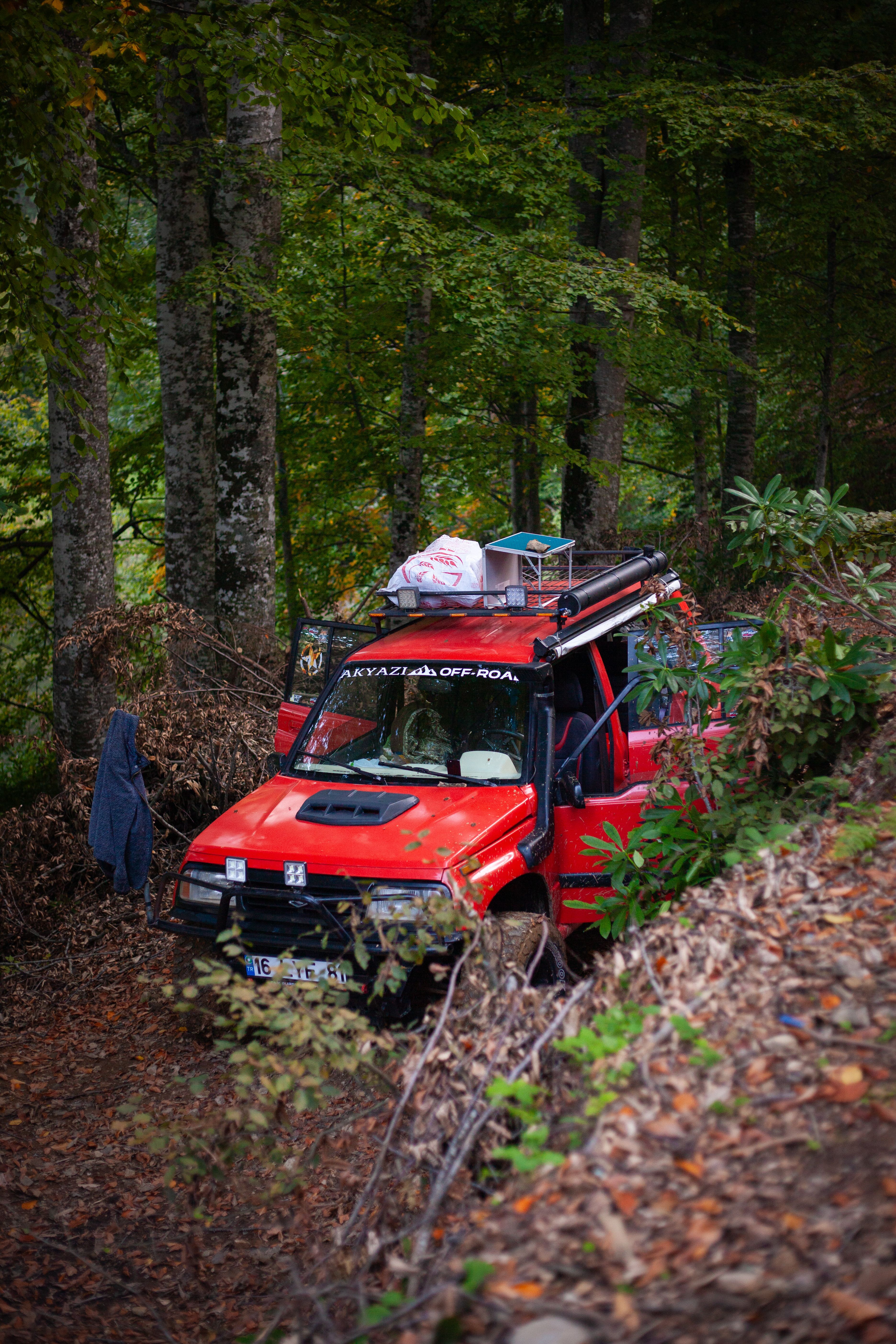 4x4 in Forest · Free Stock Photo