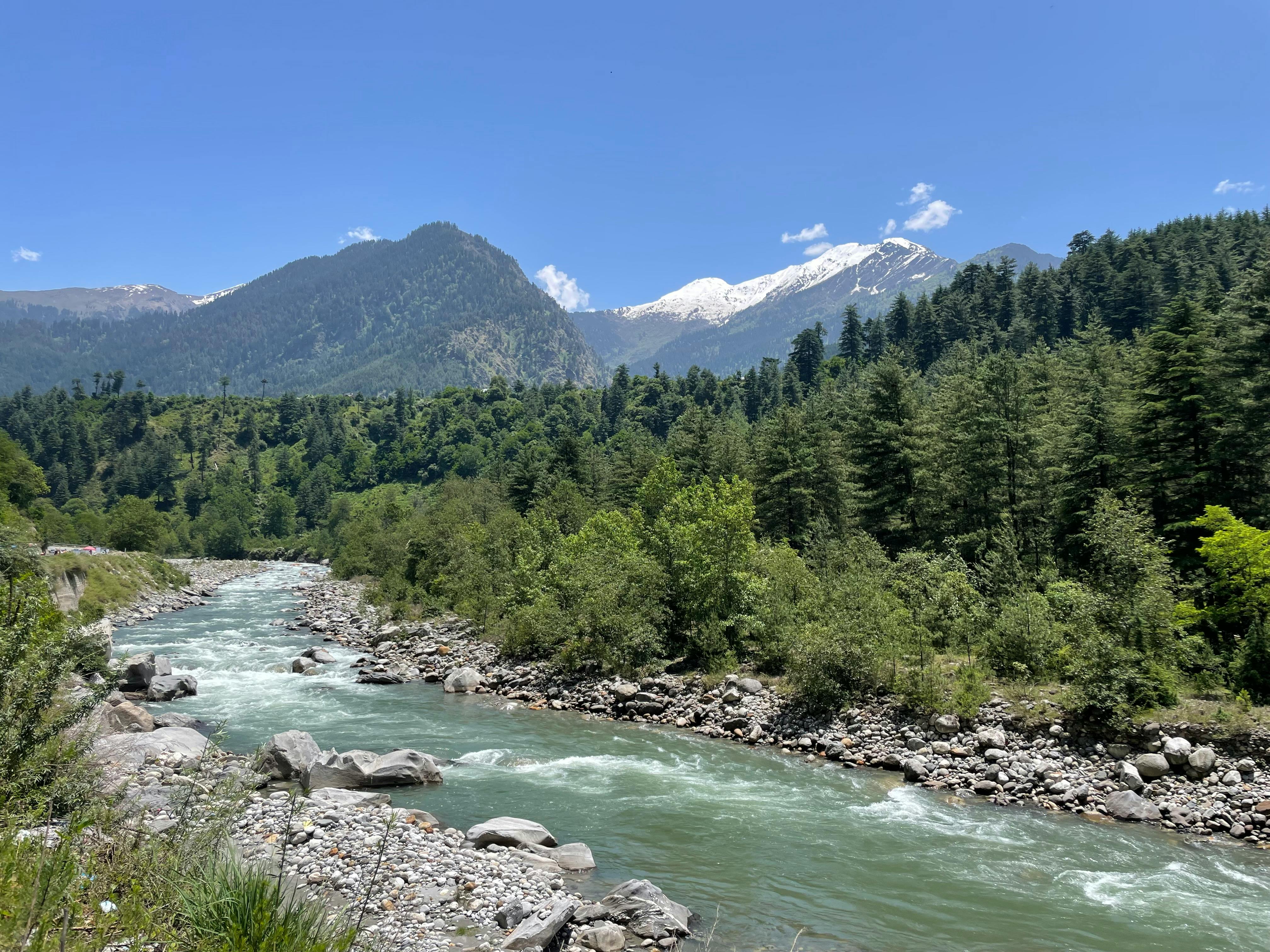 Deep Forest Wallpaper Photos, Download The BEST Free Deep Forest ...