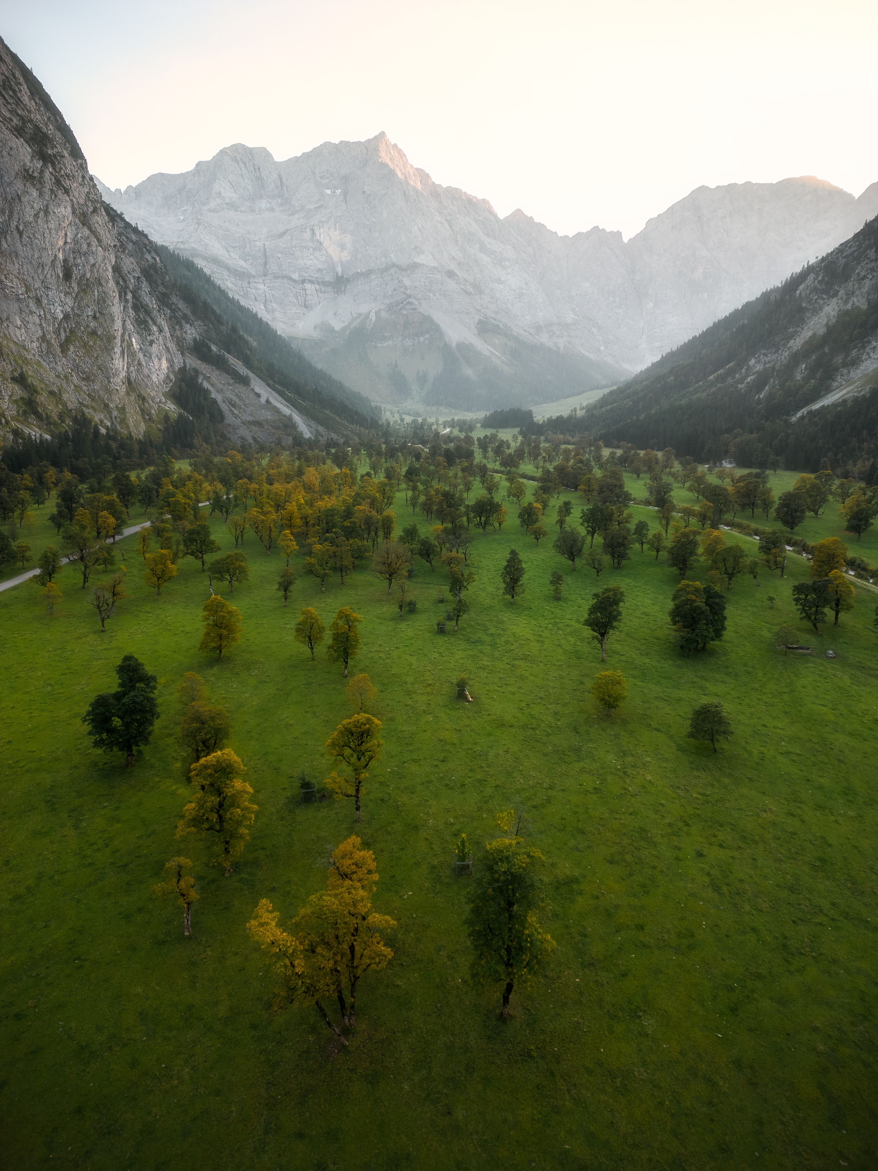 Landscape With Trees Photos, Download The BEST Free Landscape With ...