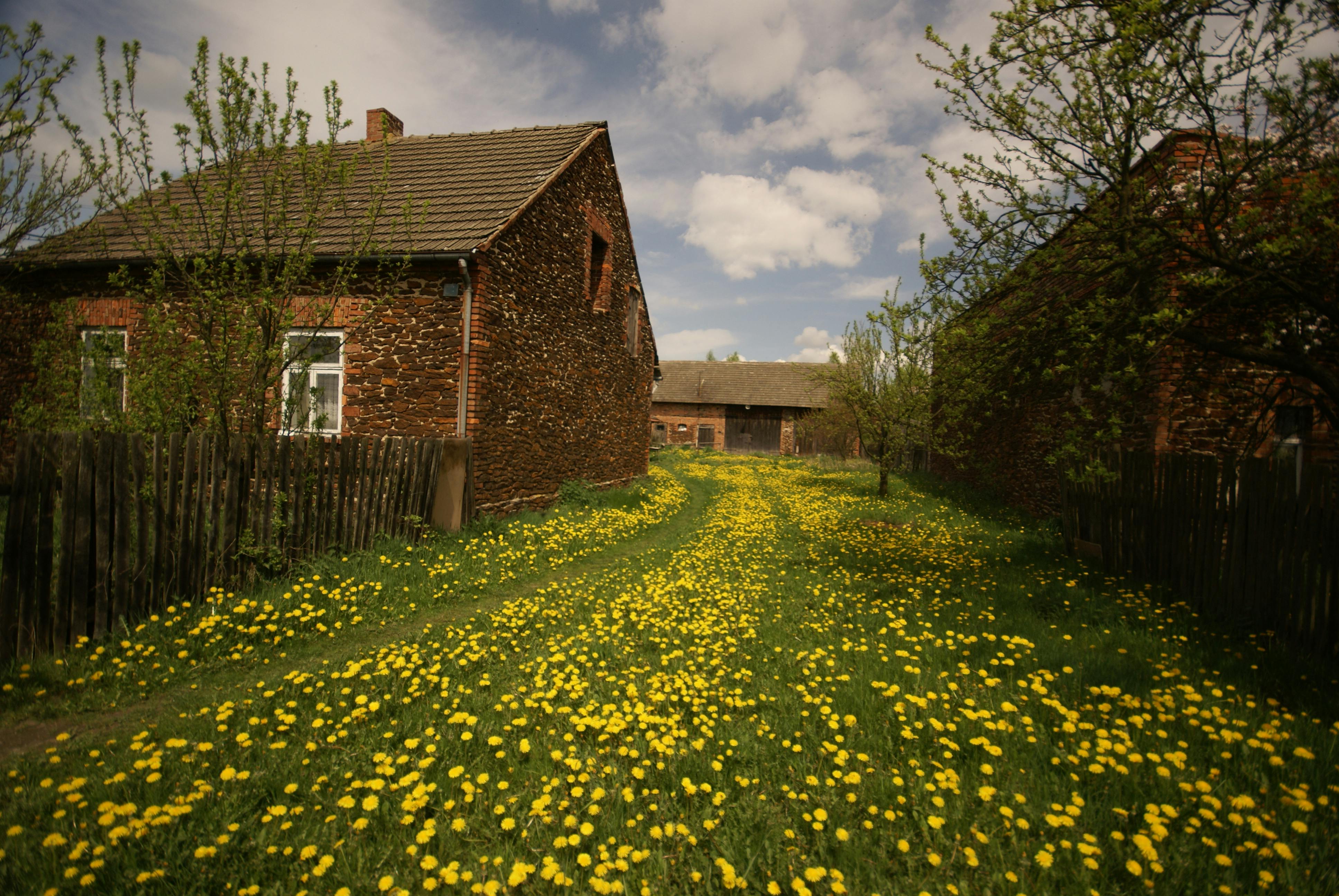 Go Hard Or Go Home Photos, Download The BEST Free Go Hard Or Go Home ...