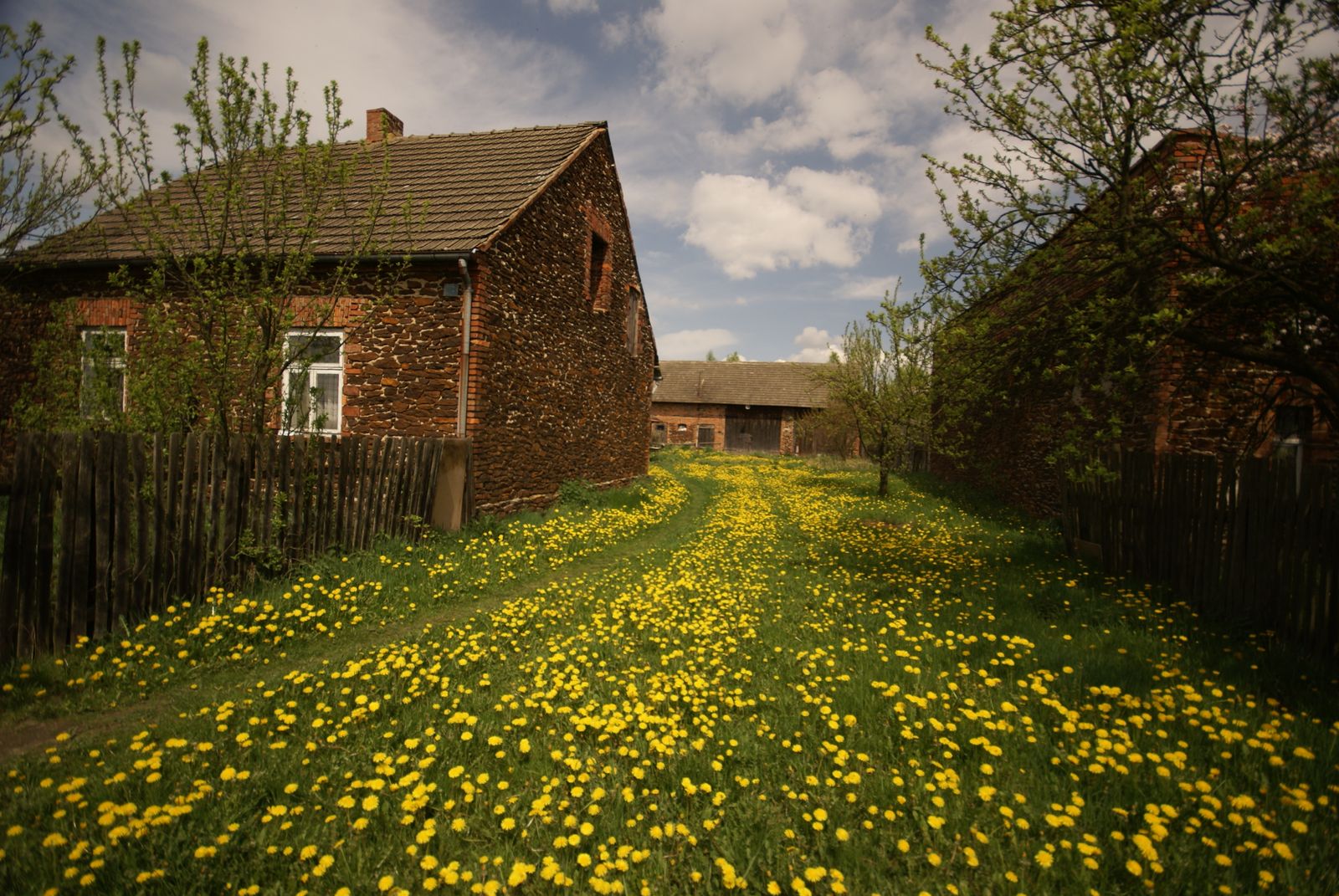 Yellow Brick Road Photos, Download The BEST Free Yellow Brick Road ...