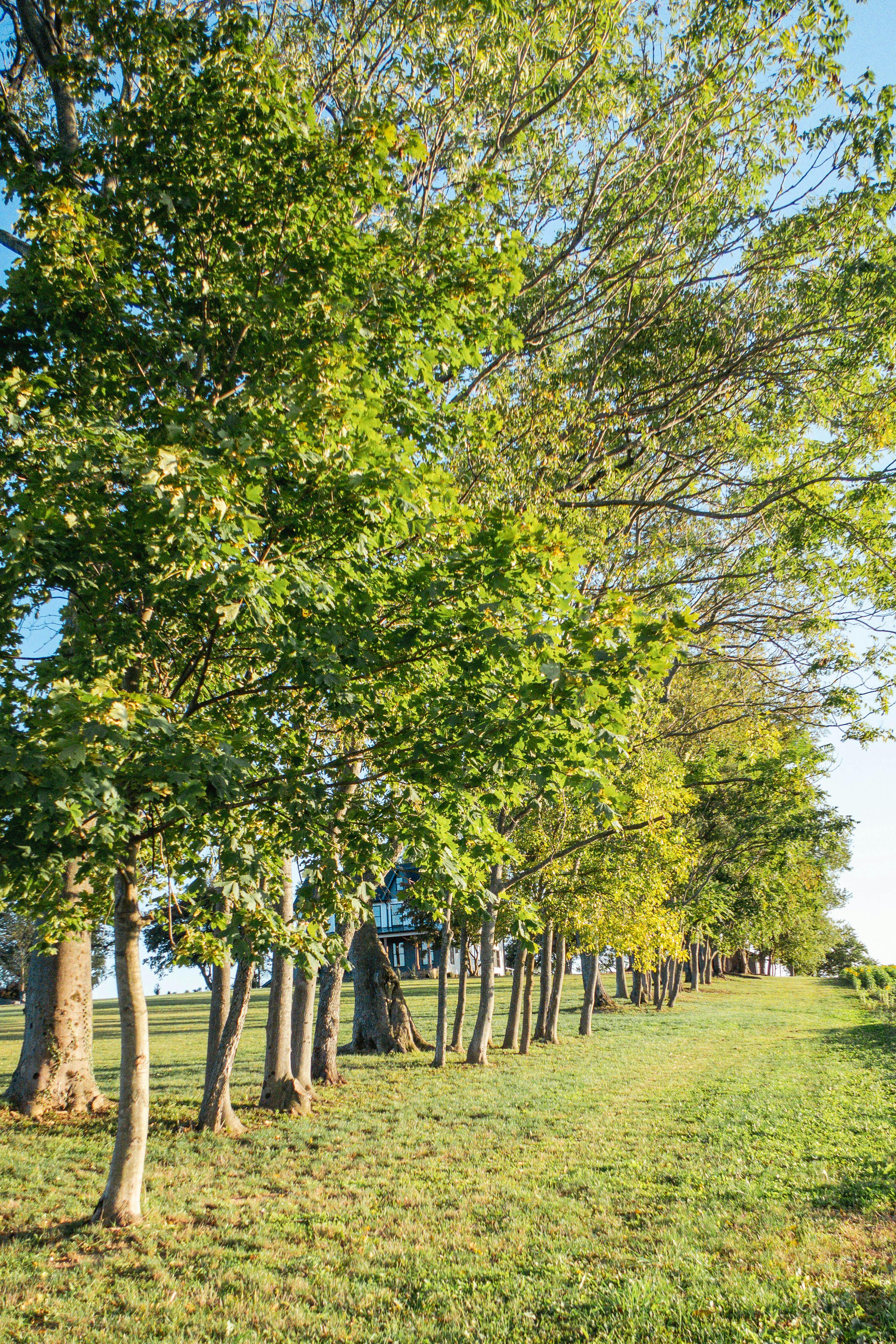 Flackig Row Photos, Download The BEST Free Flackig Row Stock Photos ...