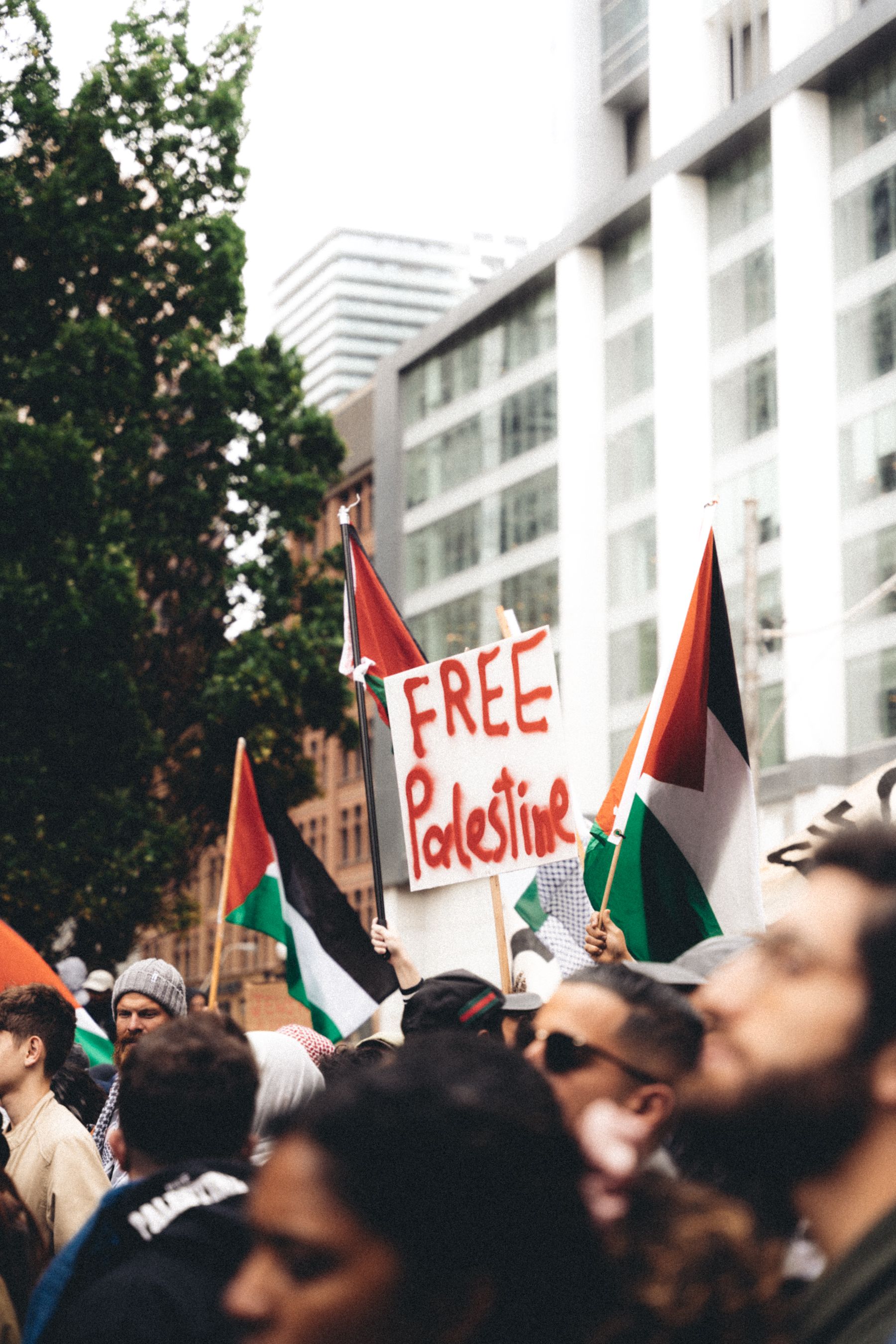 Free Palestine Rally · Free Stock Photo