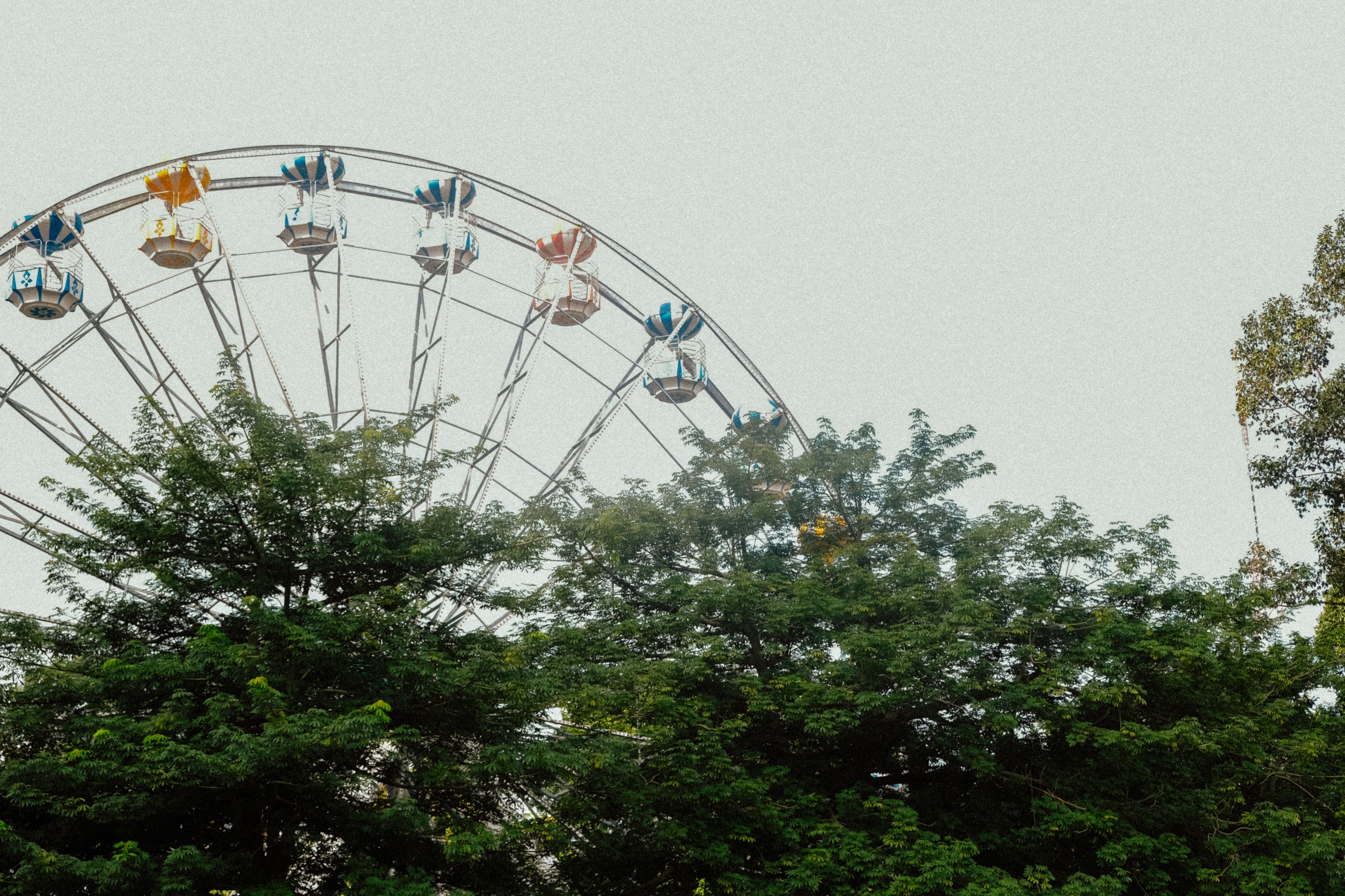 Ferris Wheel behind Park Trees · Free Stock Photo