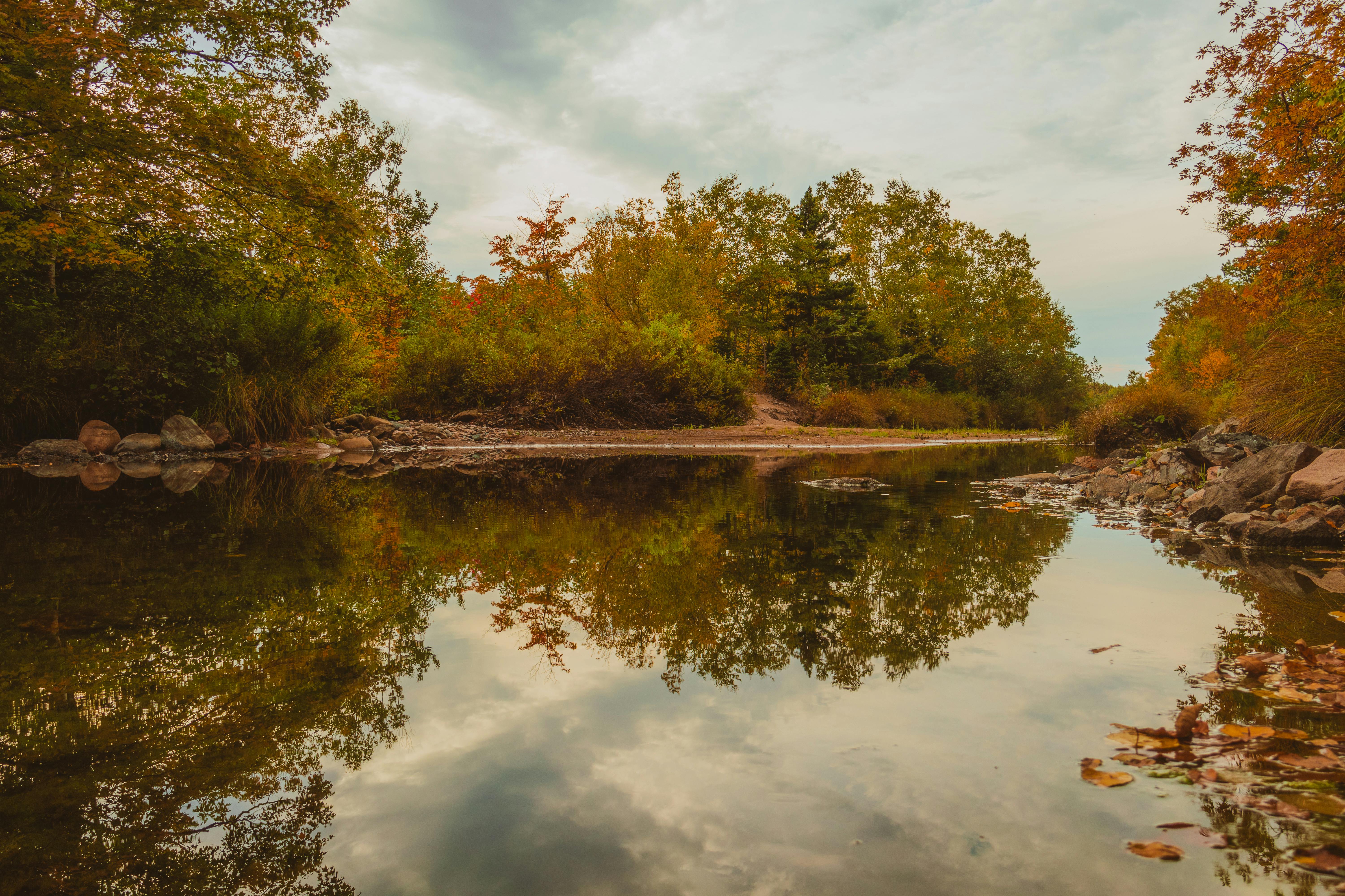 Photo gratuite de 4k, arbre, atlantic, aube, automne, autumn, bassin ...