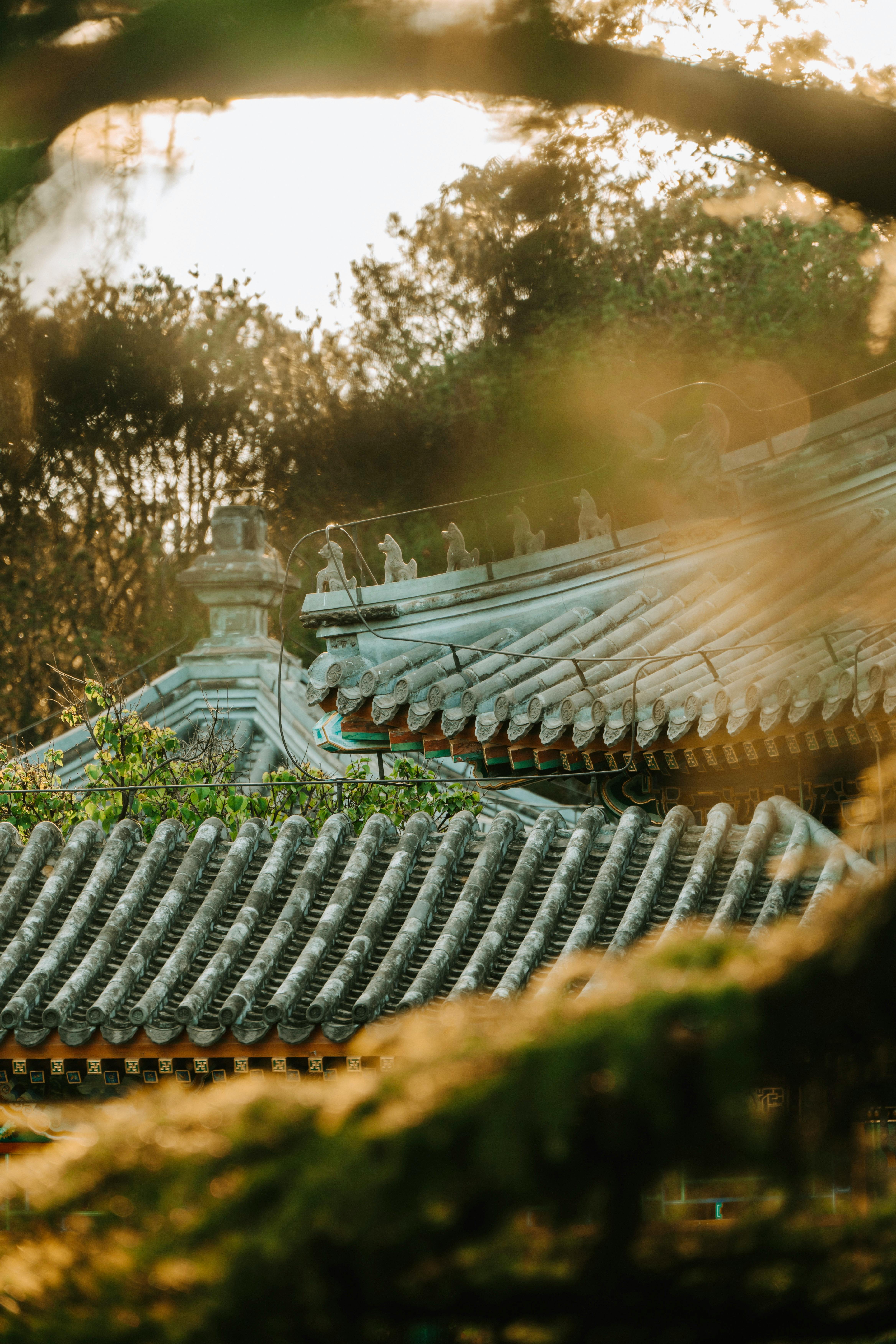 Traditional Decorative Rooftops · Free Stock Photo