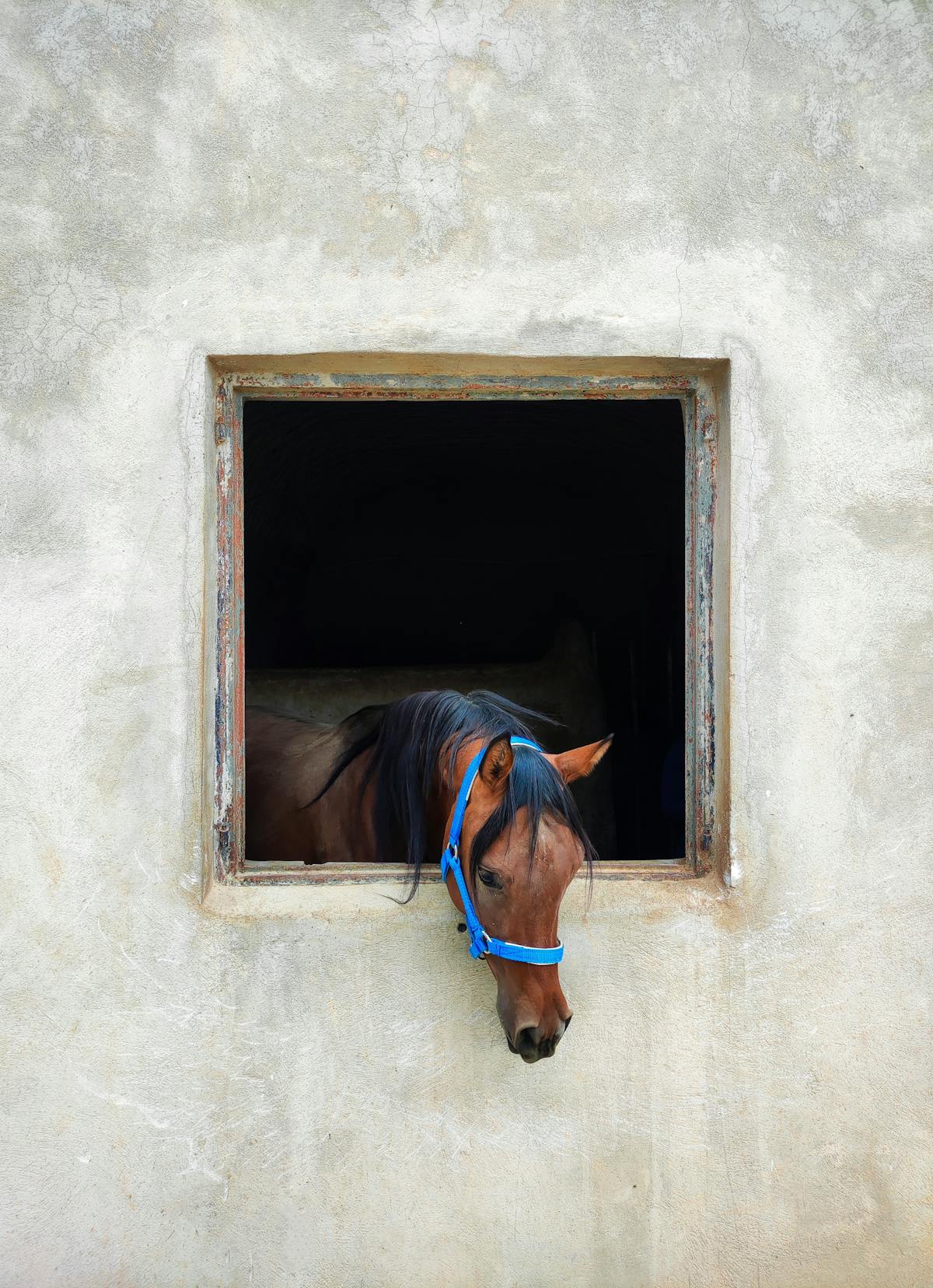 Window Images Photos, Download The BEST Free Window Images Stock Photos ...