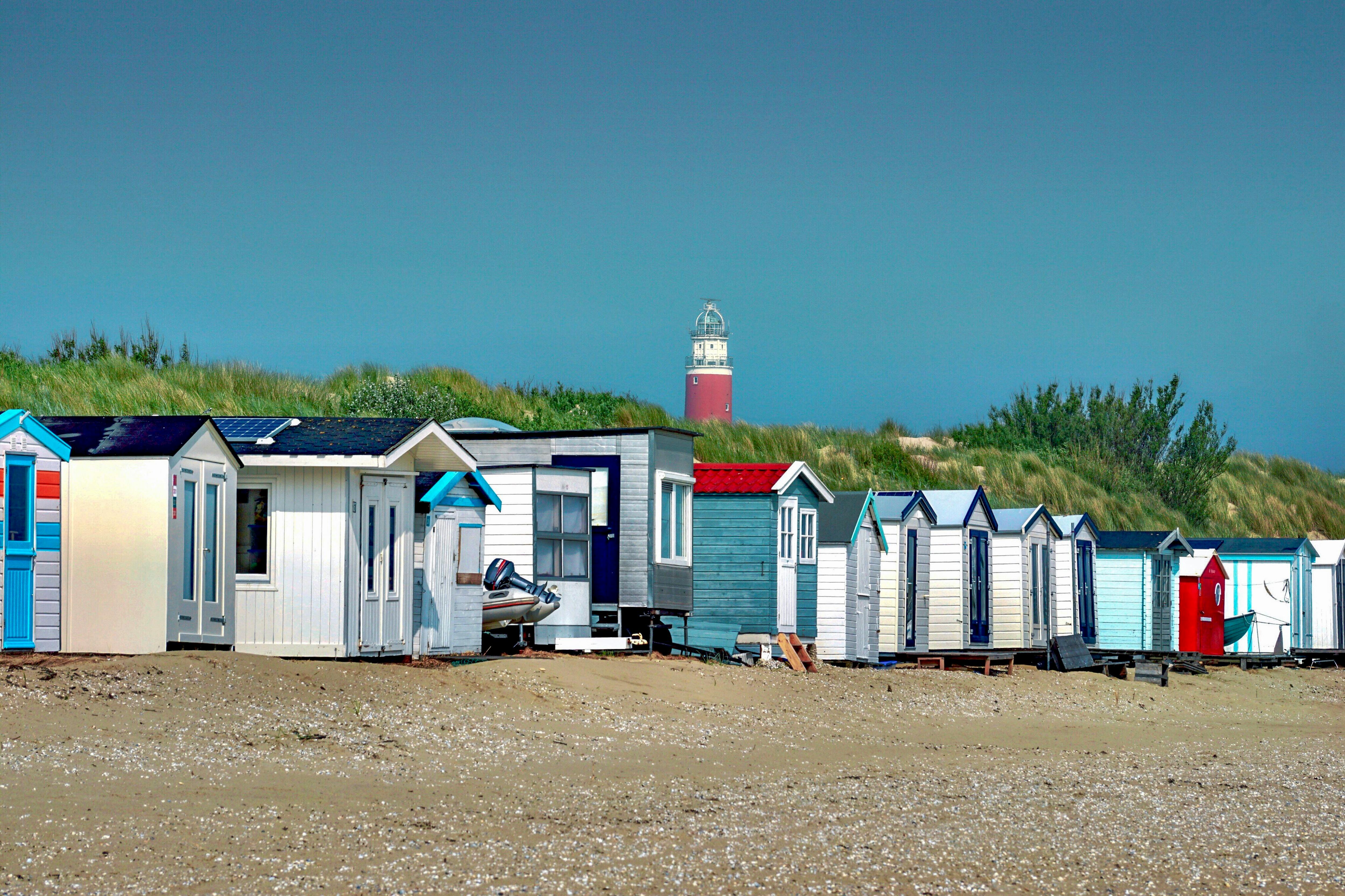 Sea Shingles Photos, Download The BEST Free Sea Shingles Stock Photos ...