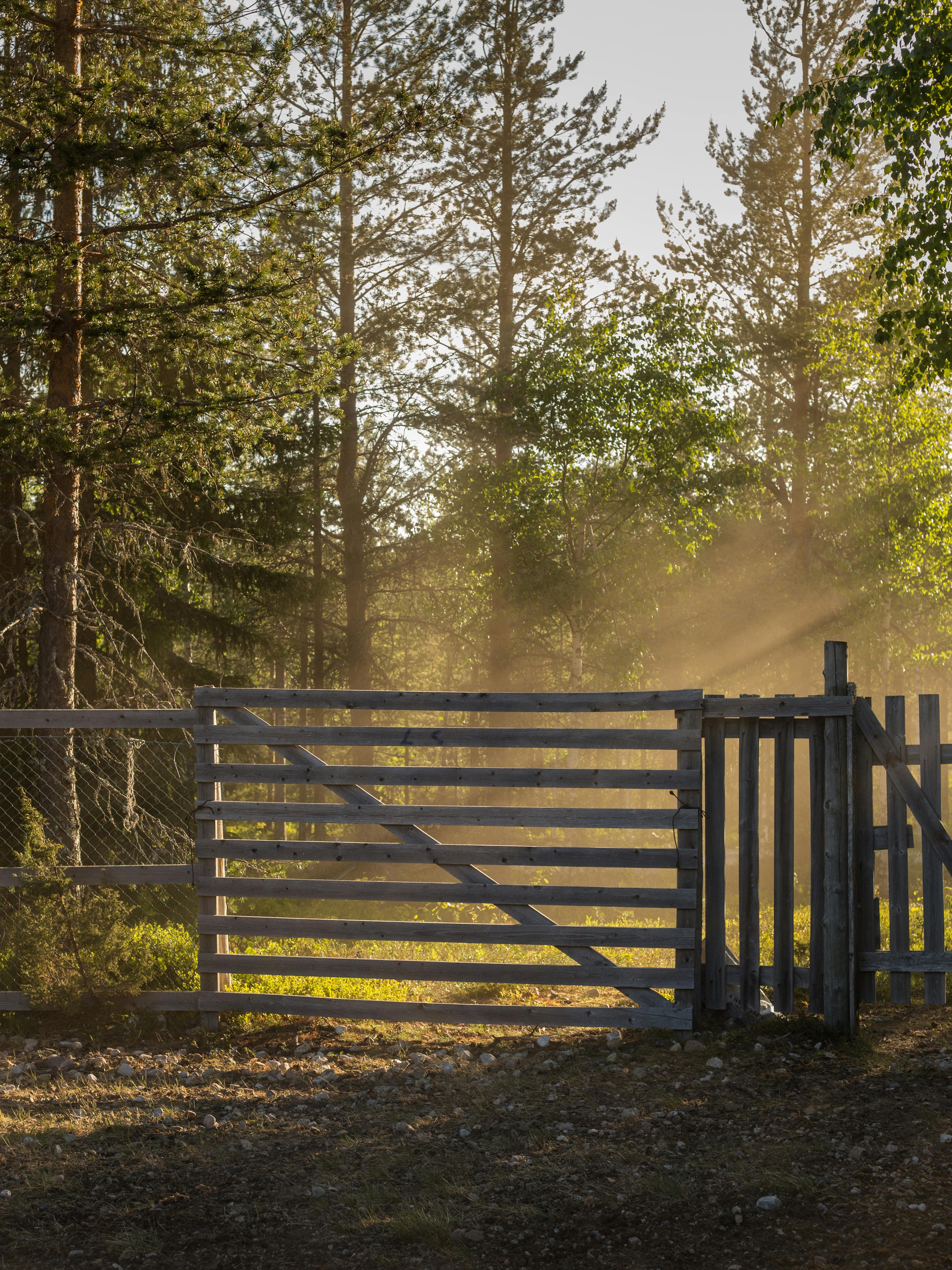 Wooden Gate in Forest · Free Stock Photo