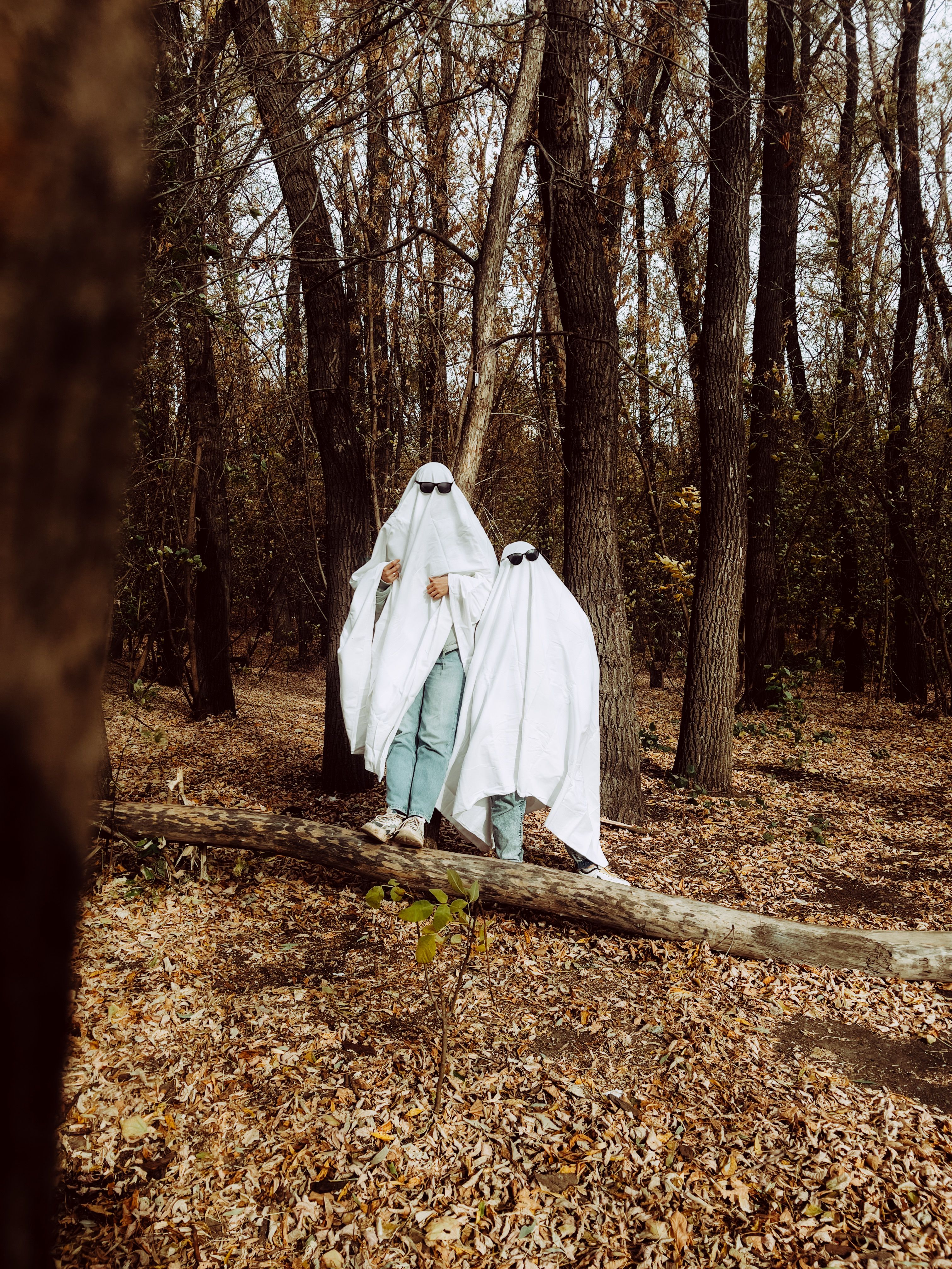 Ghosts Images Photos, Download The BEST Free Ghosts Images Stock Photos ...
