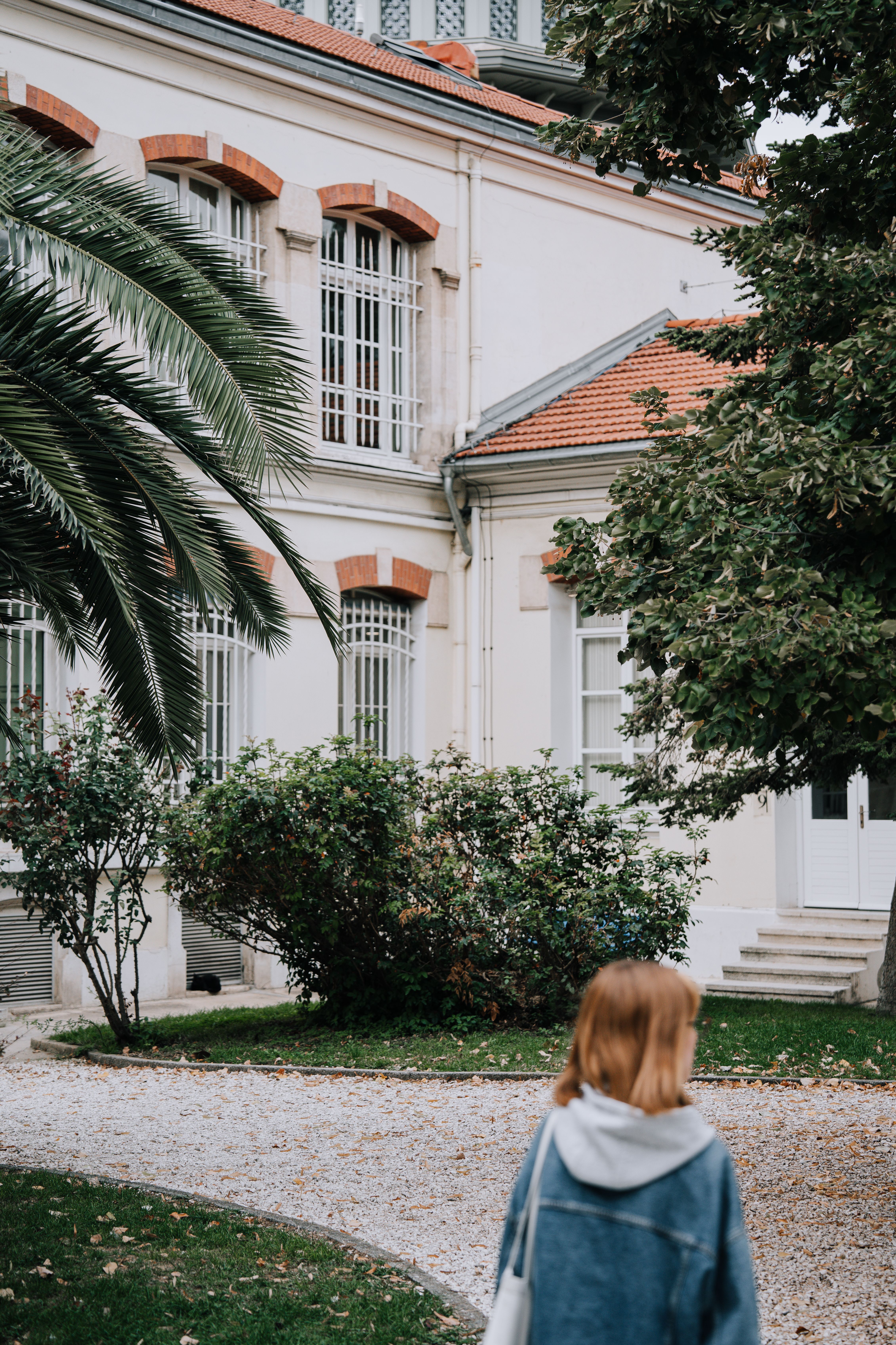 Barred Windows of the French Embassy in Istanbul · Free Stock Photo