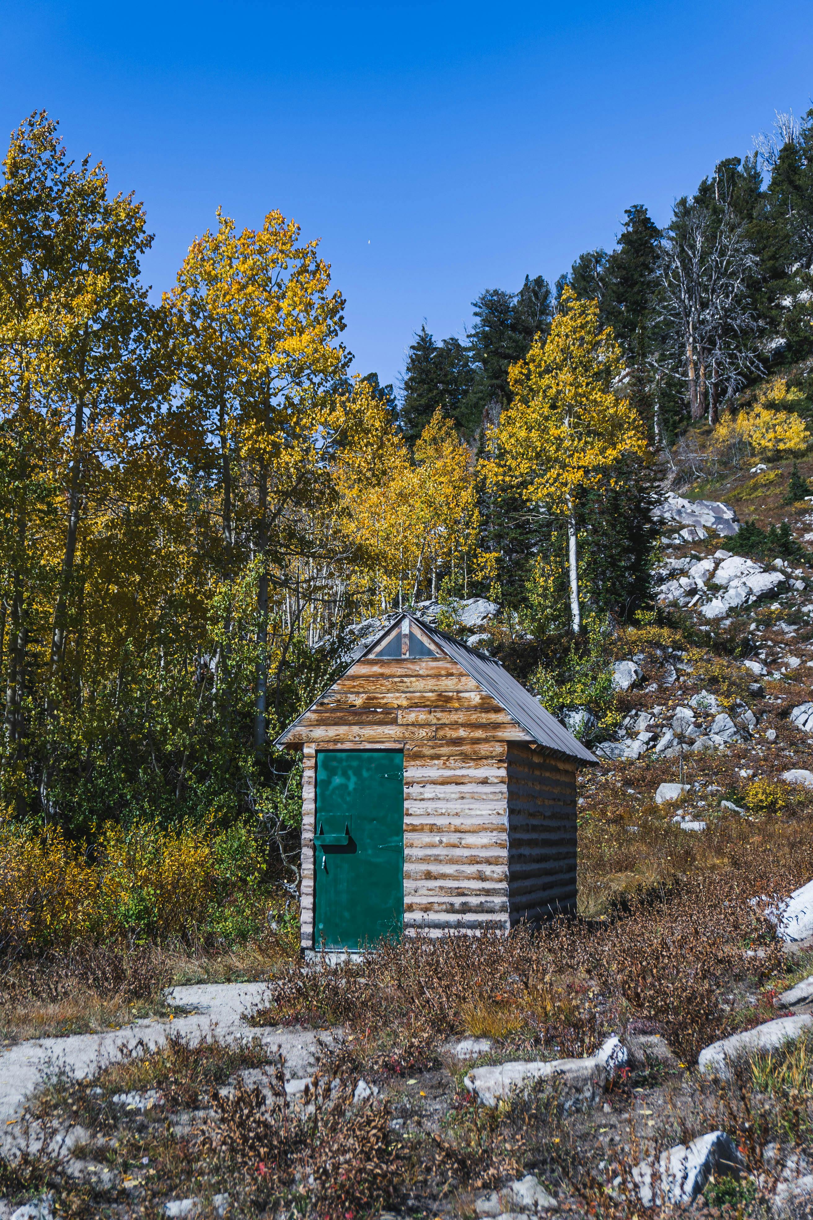 A Hut in the Trees · Free Stock Photo
