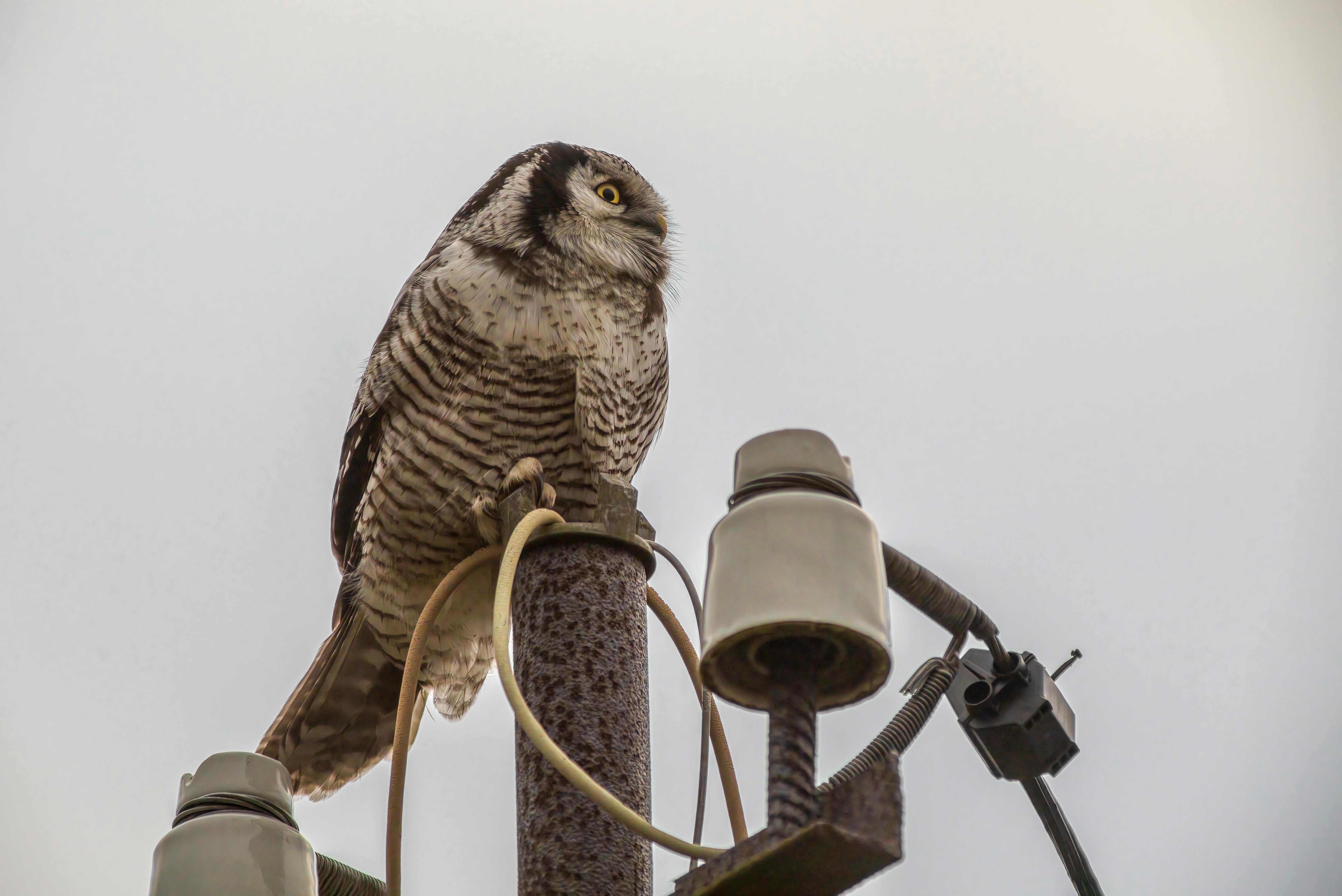 Talon Portti Photos, Download The BEST Free Talon Portti Stock Photos ...