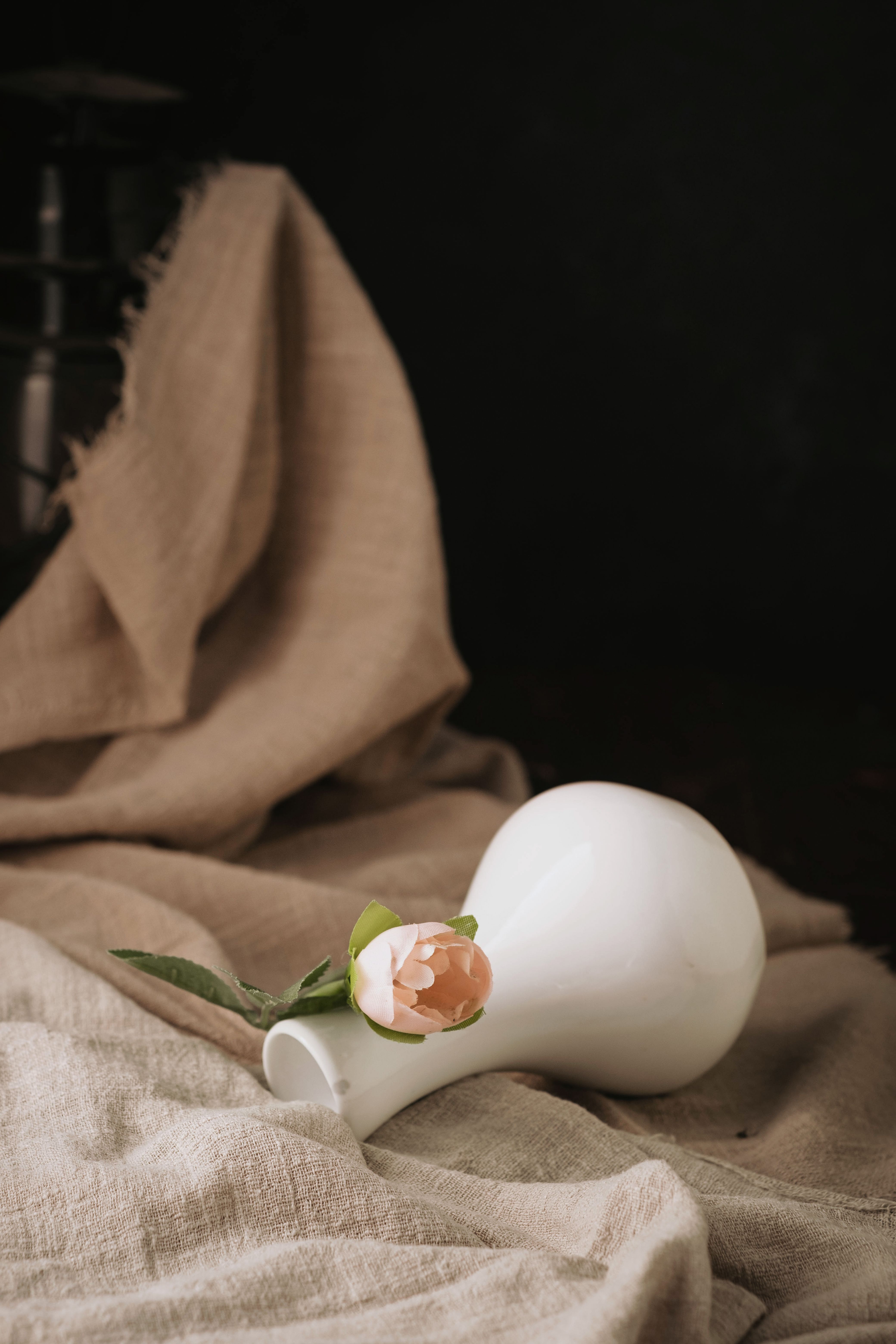 Natural Still Life Photos, Download The BEST Free Natural Still Life ...