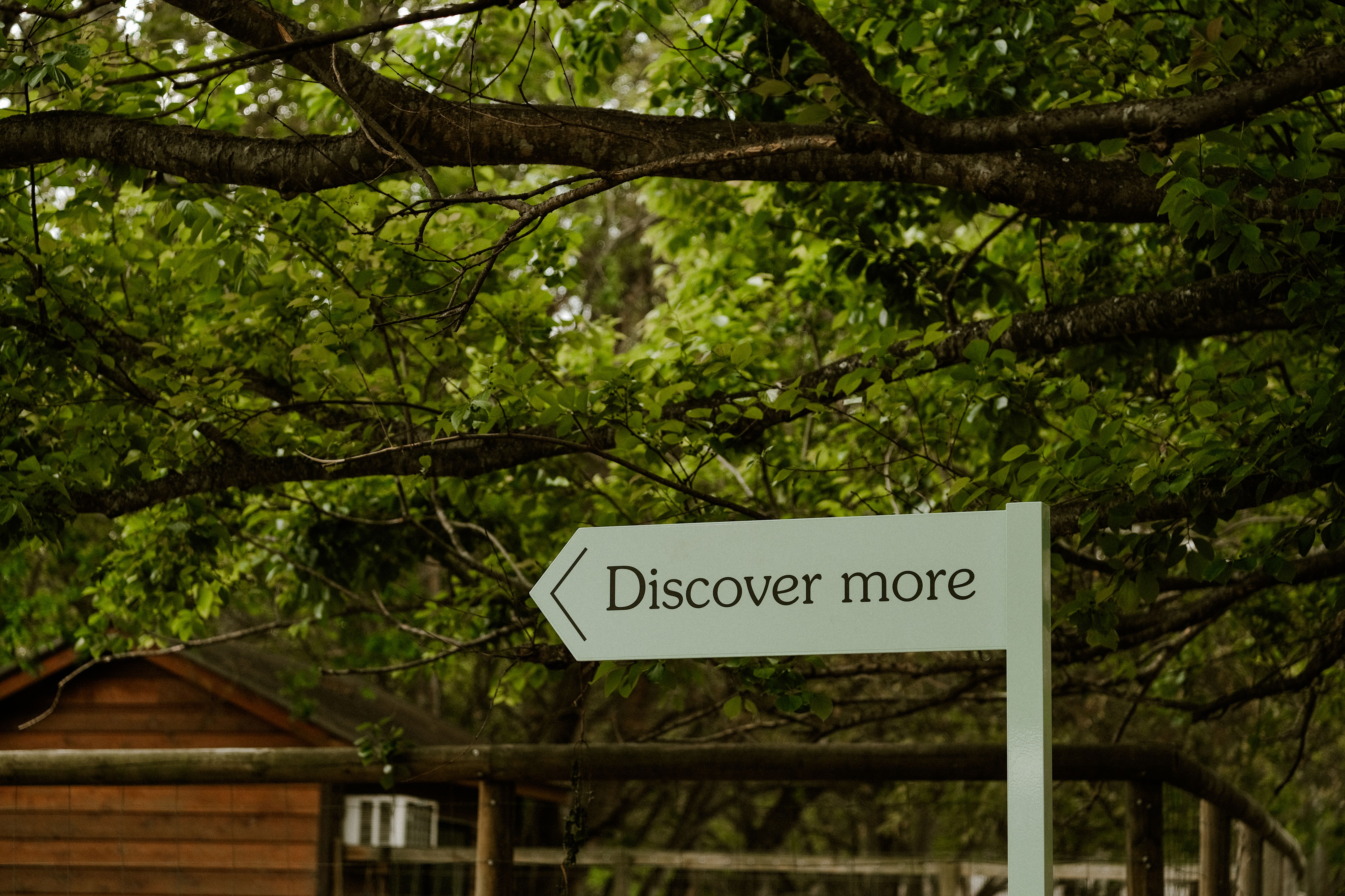 Discover More Written on Direction Sign in Park · Free Stock Photo