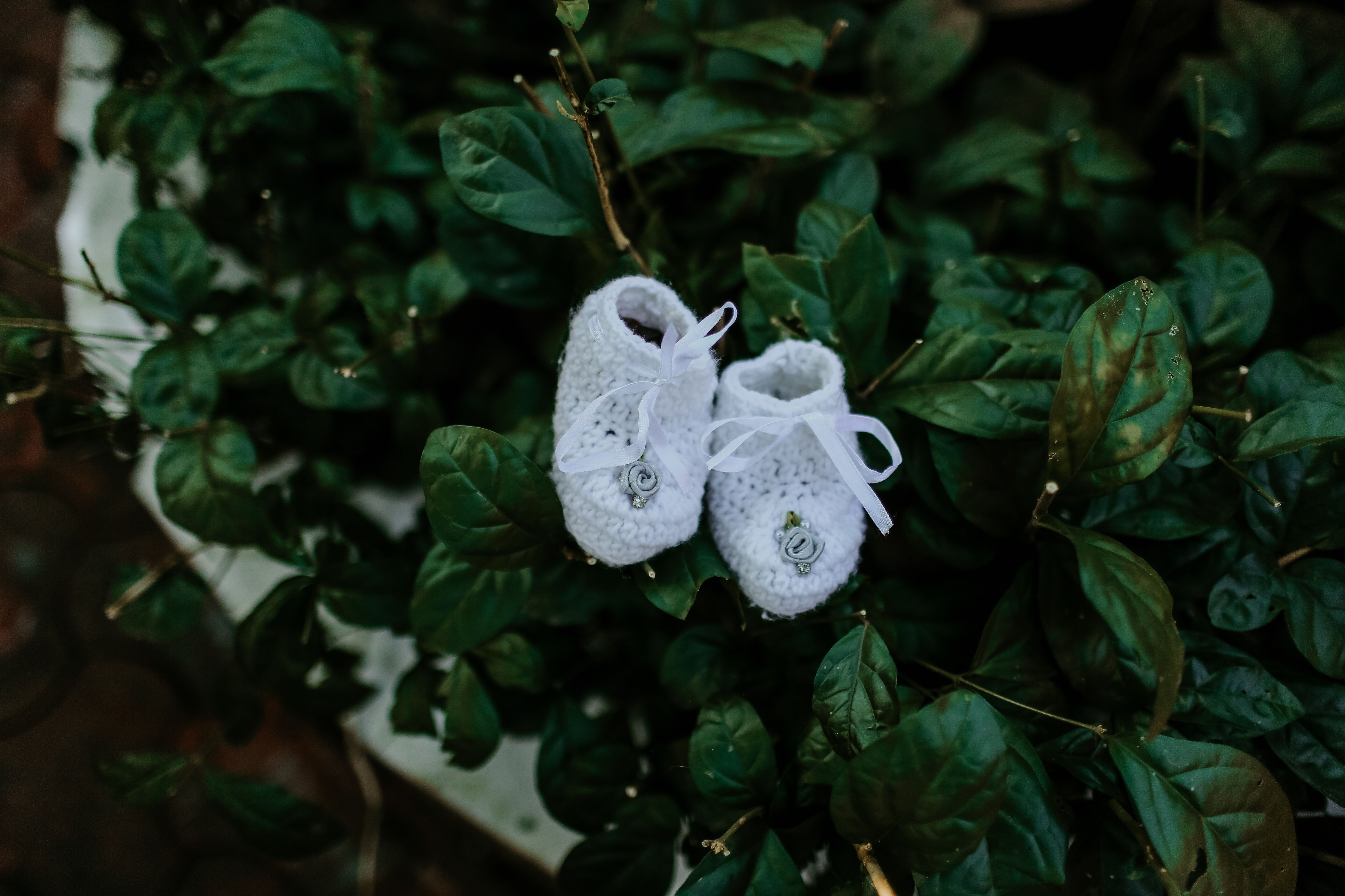 Decorated Baby Shoes on Leaves · Free Stock Photo