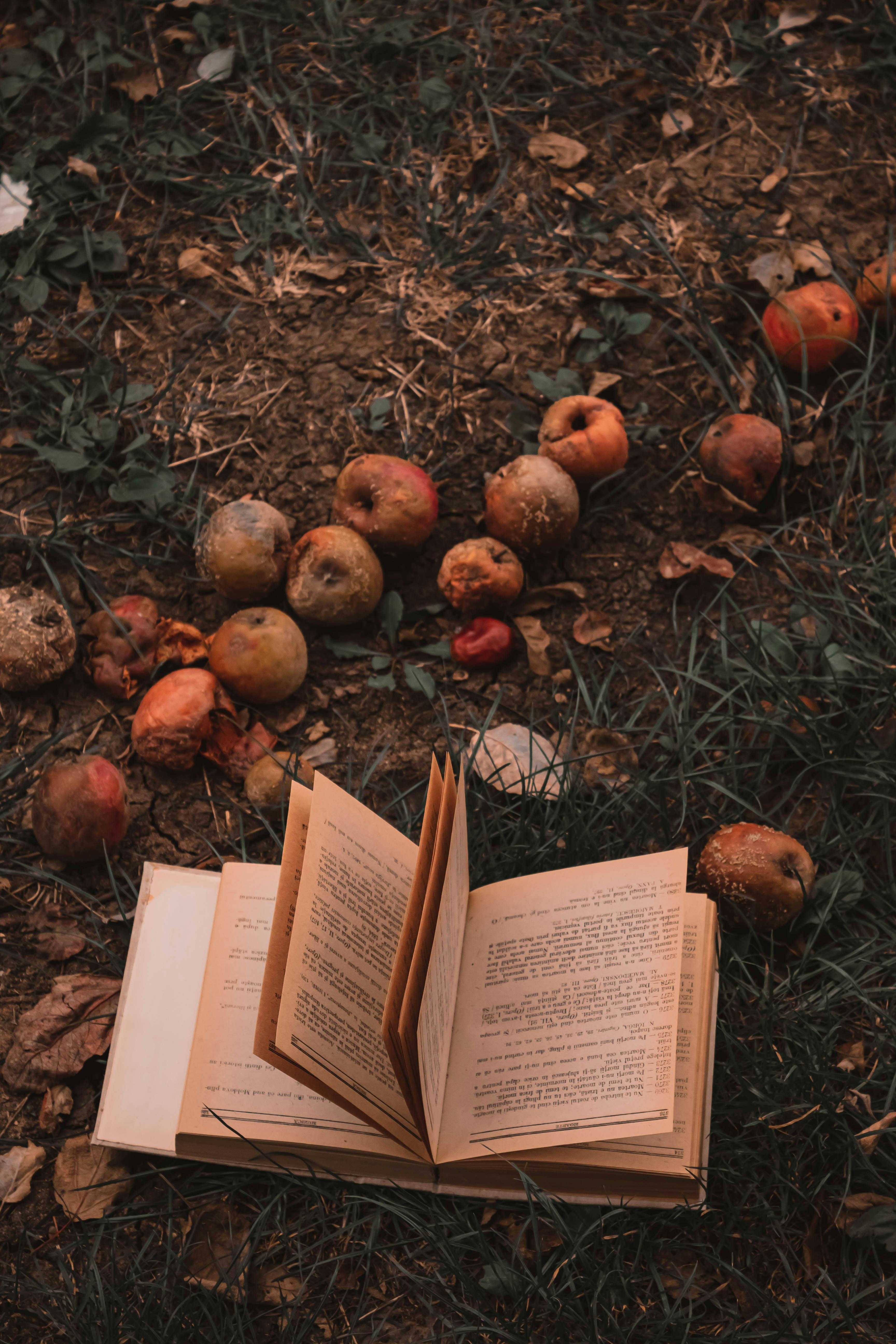 Open Book among Rotting Apples · Free Stock Photo