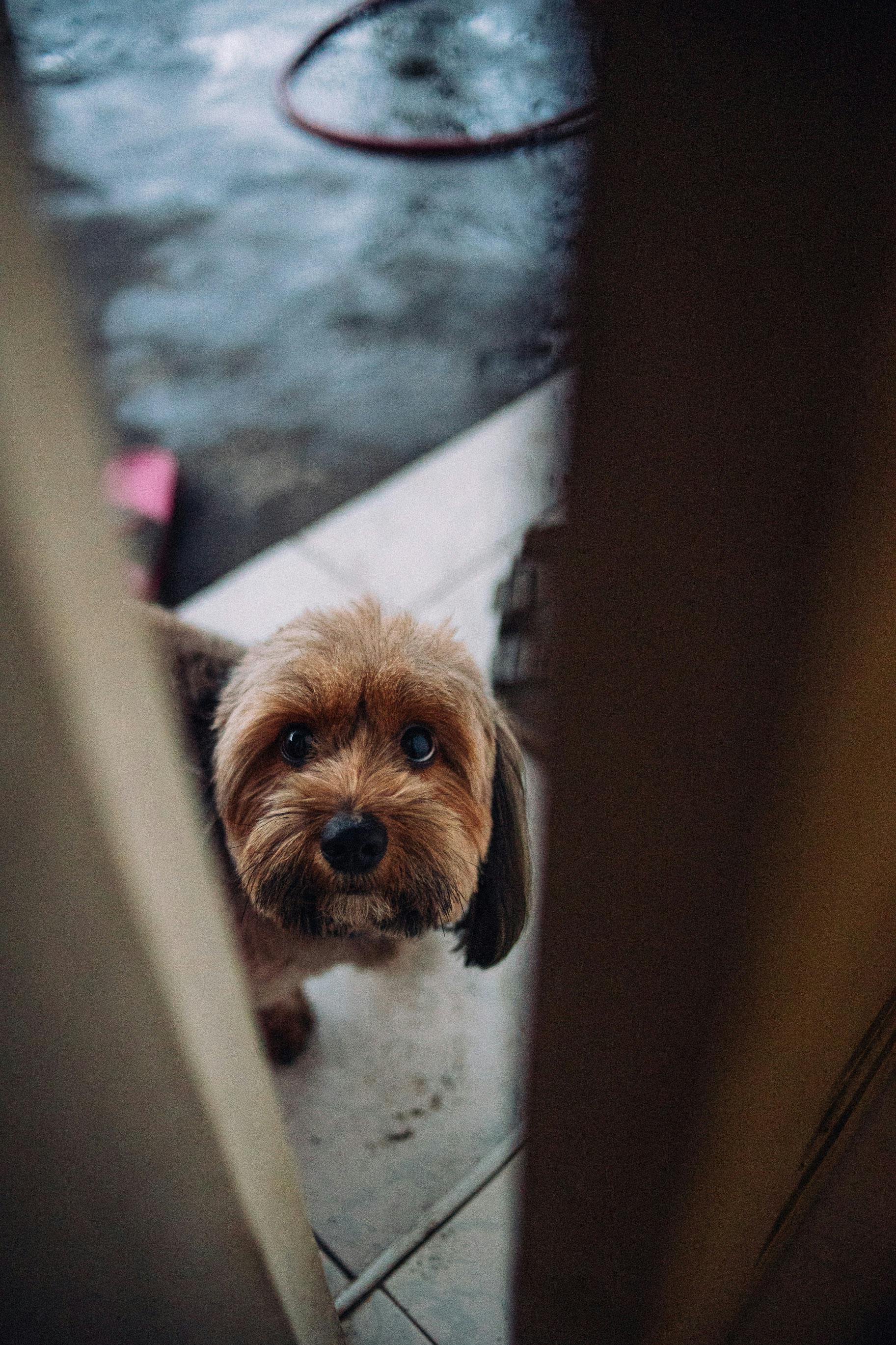 Door Head behind Gap · Free Stock Photo