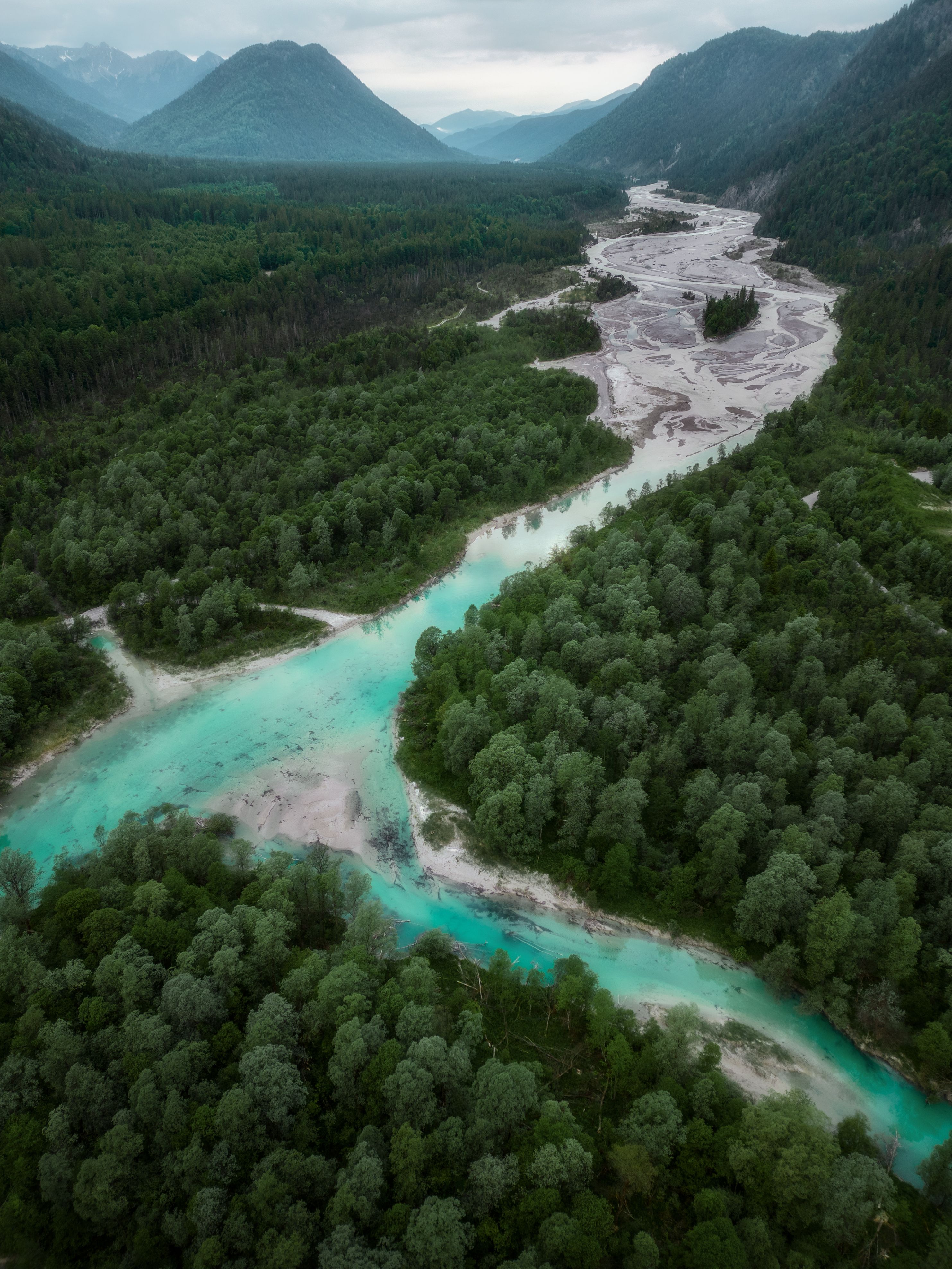 Forest With River Photos, Download The BEST Free Forest With River ...