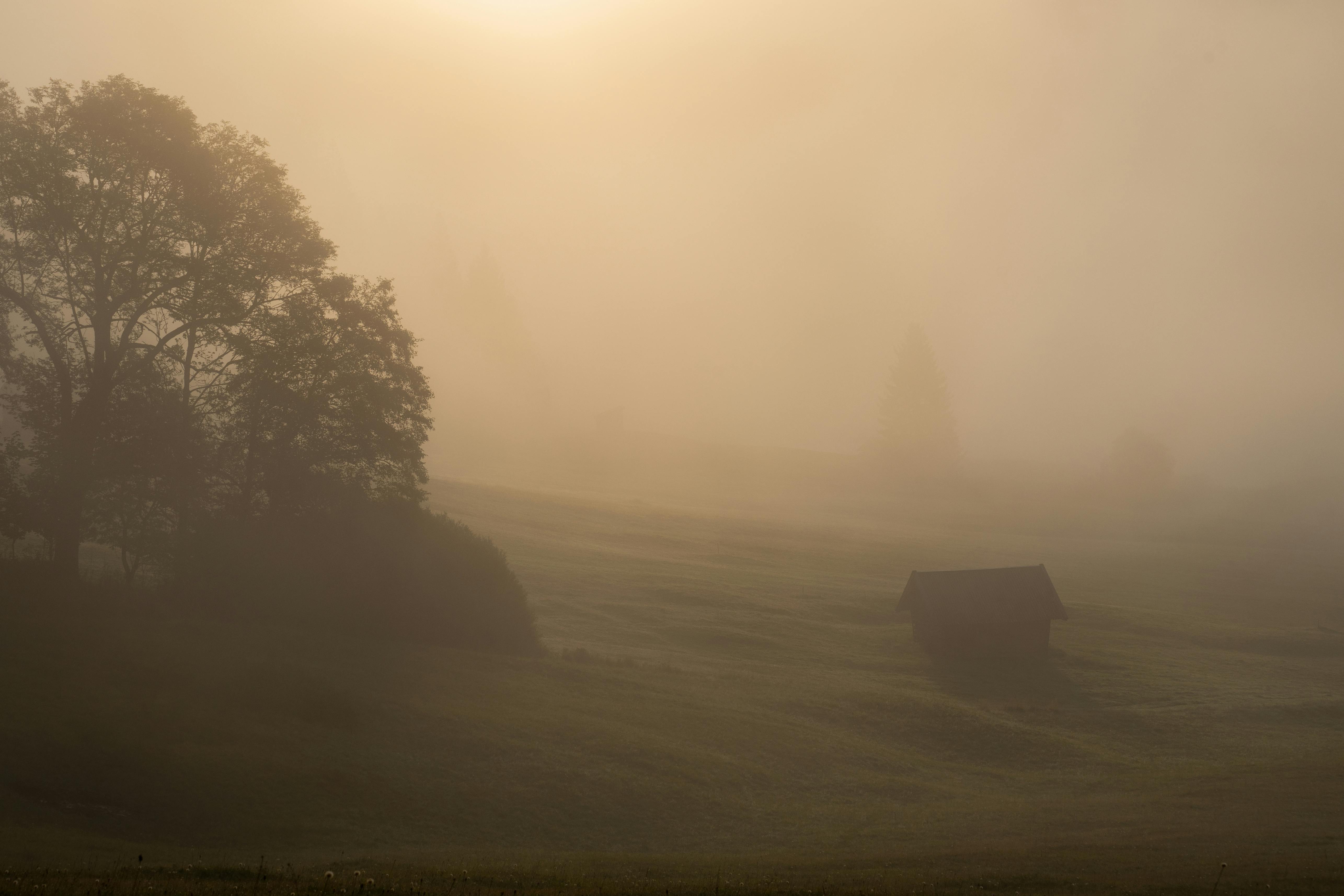 Rural Scenery in Fog · Free Stock Photo