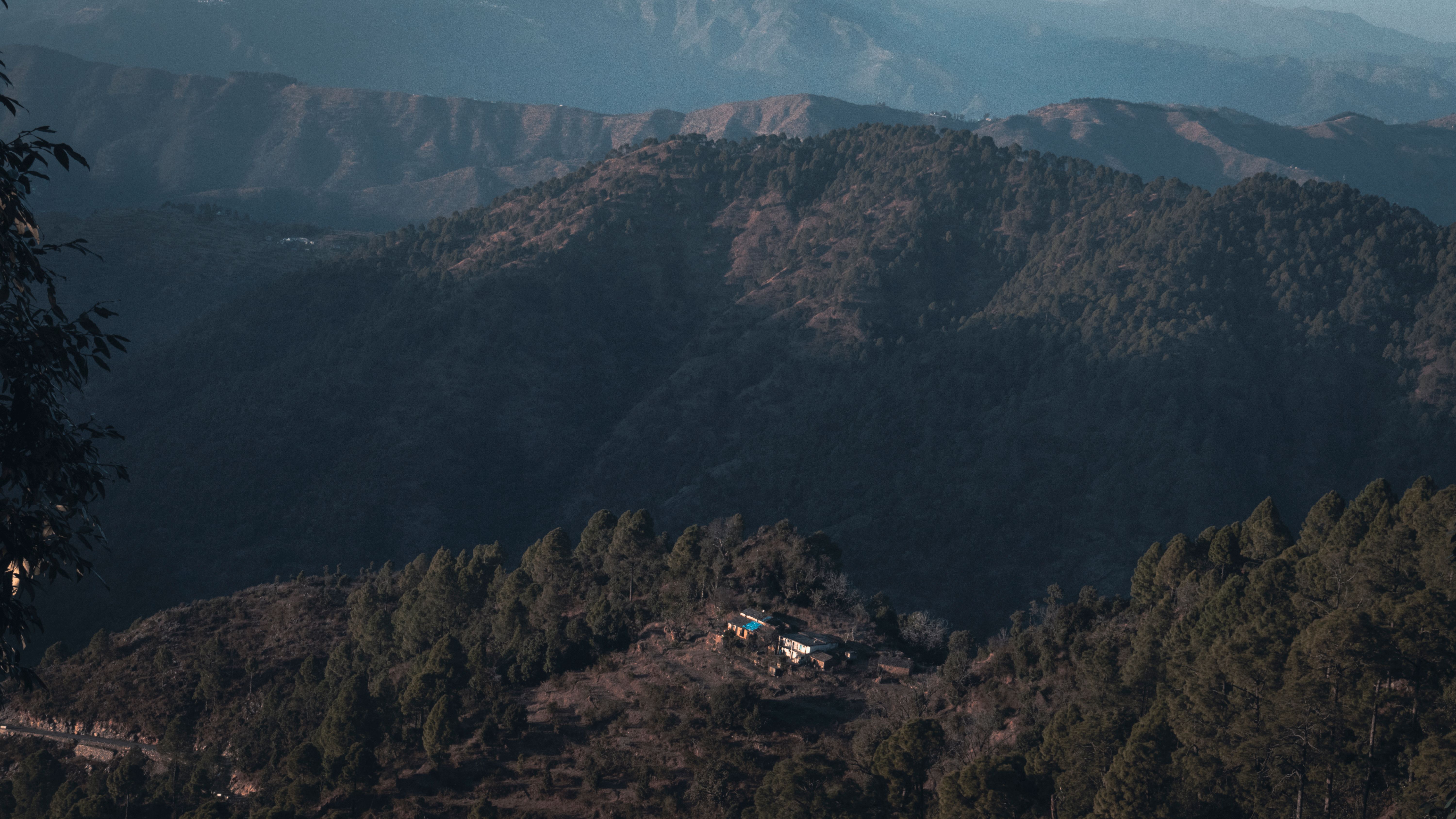 Ankit Bisht - Photography
