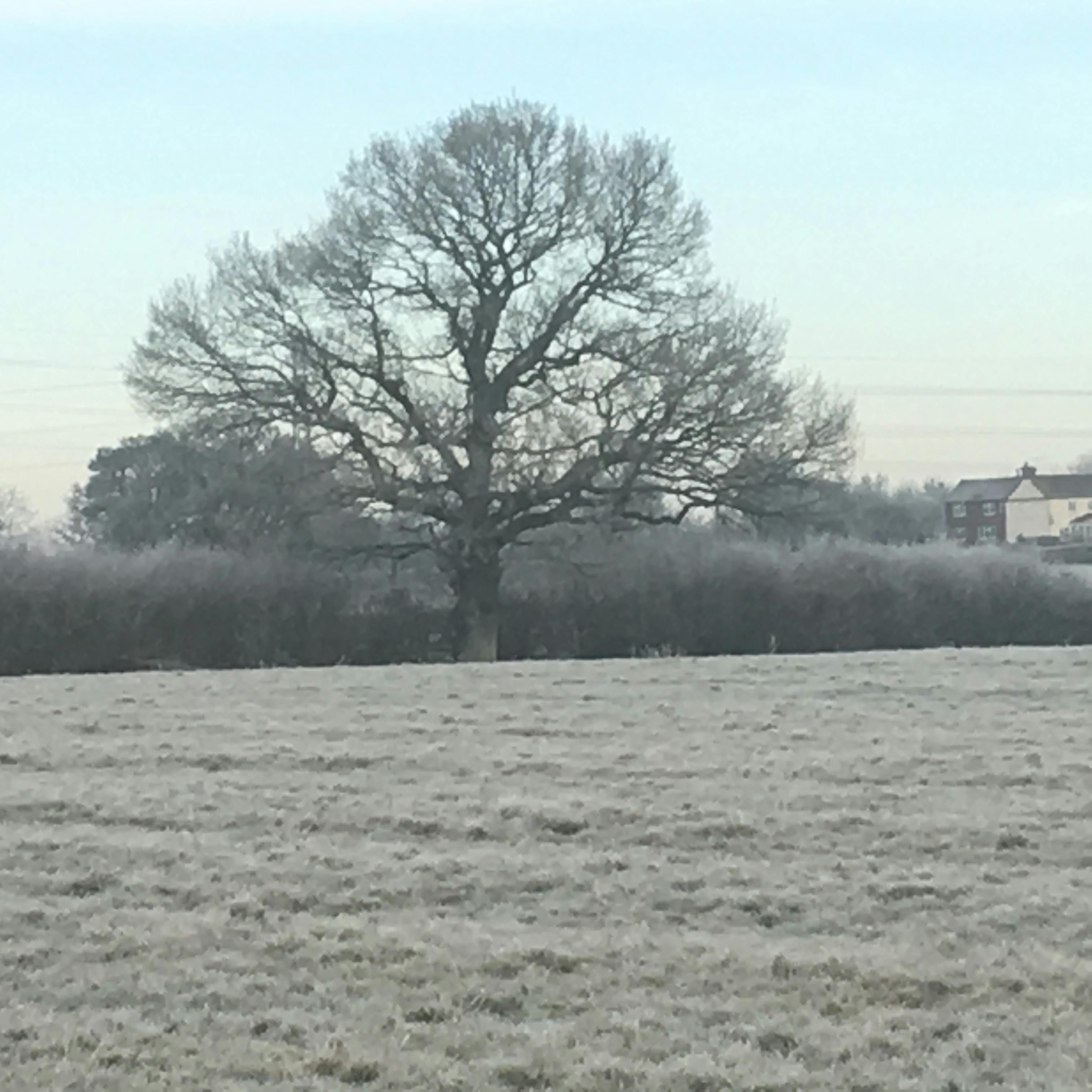 Foto de stock gratuita sobre alto, arquitecto moderno, arquitectura ...