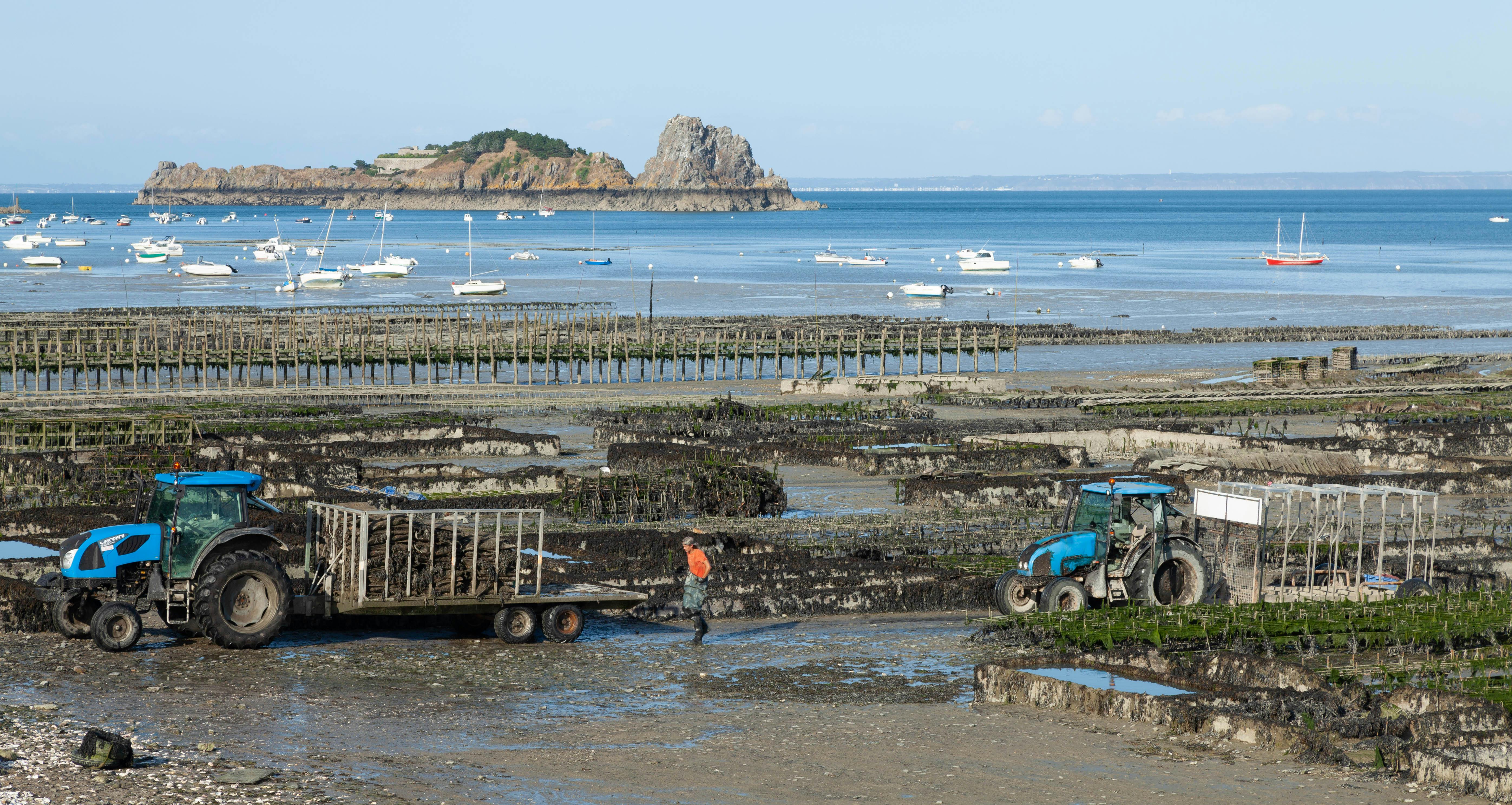 Man and Tractors on Sea Shore · Free Stock Photo