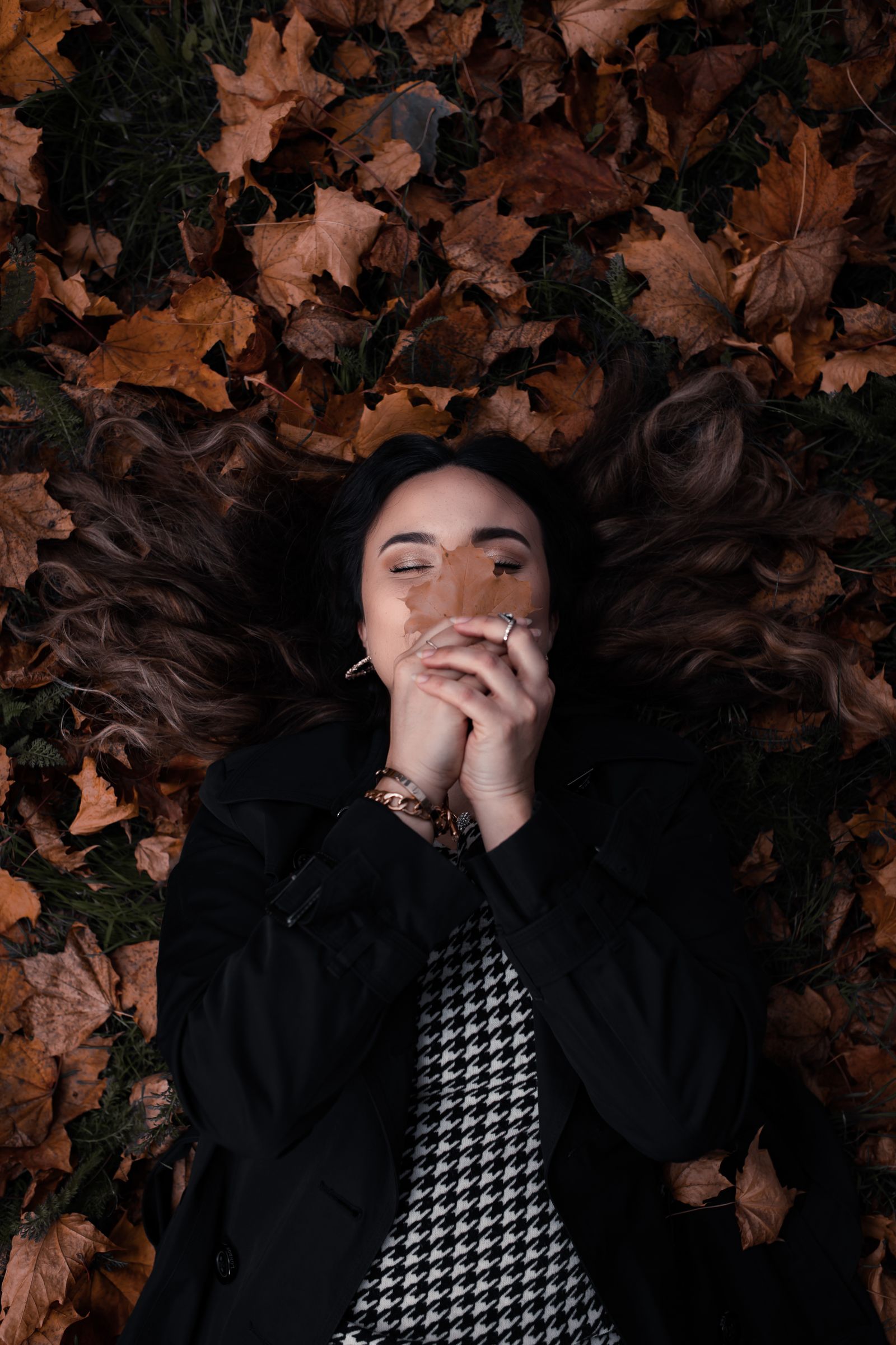 Leaves Fall Down Photos, Download The BEST Free Leaves Fall Down Stock ...