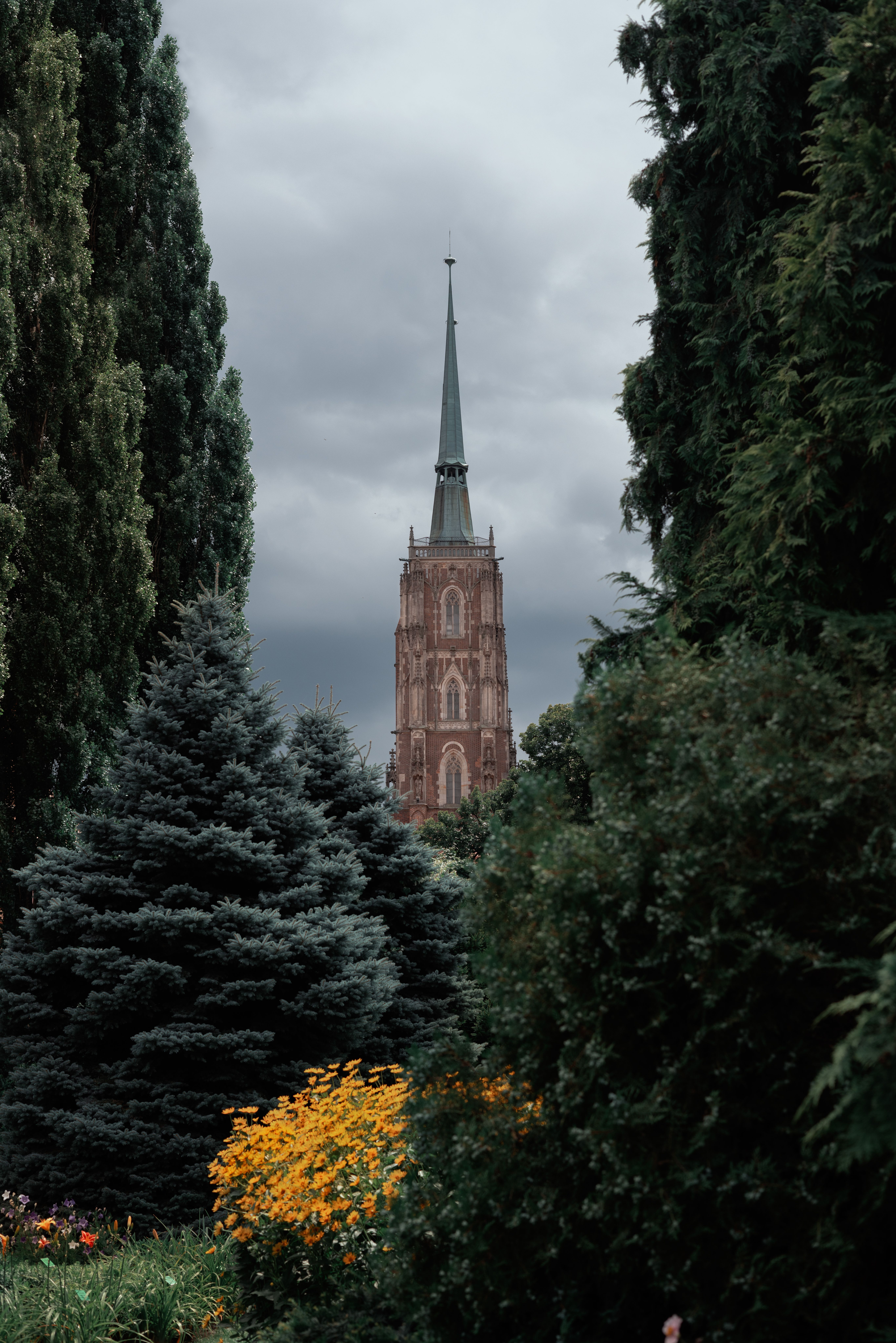Church Tower behind Trees · Free Stock Photo