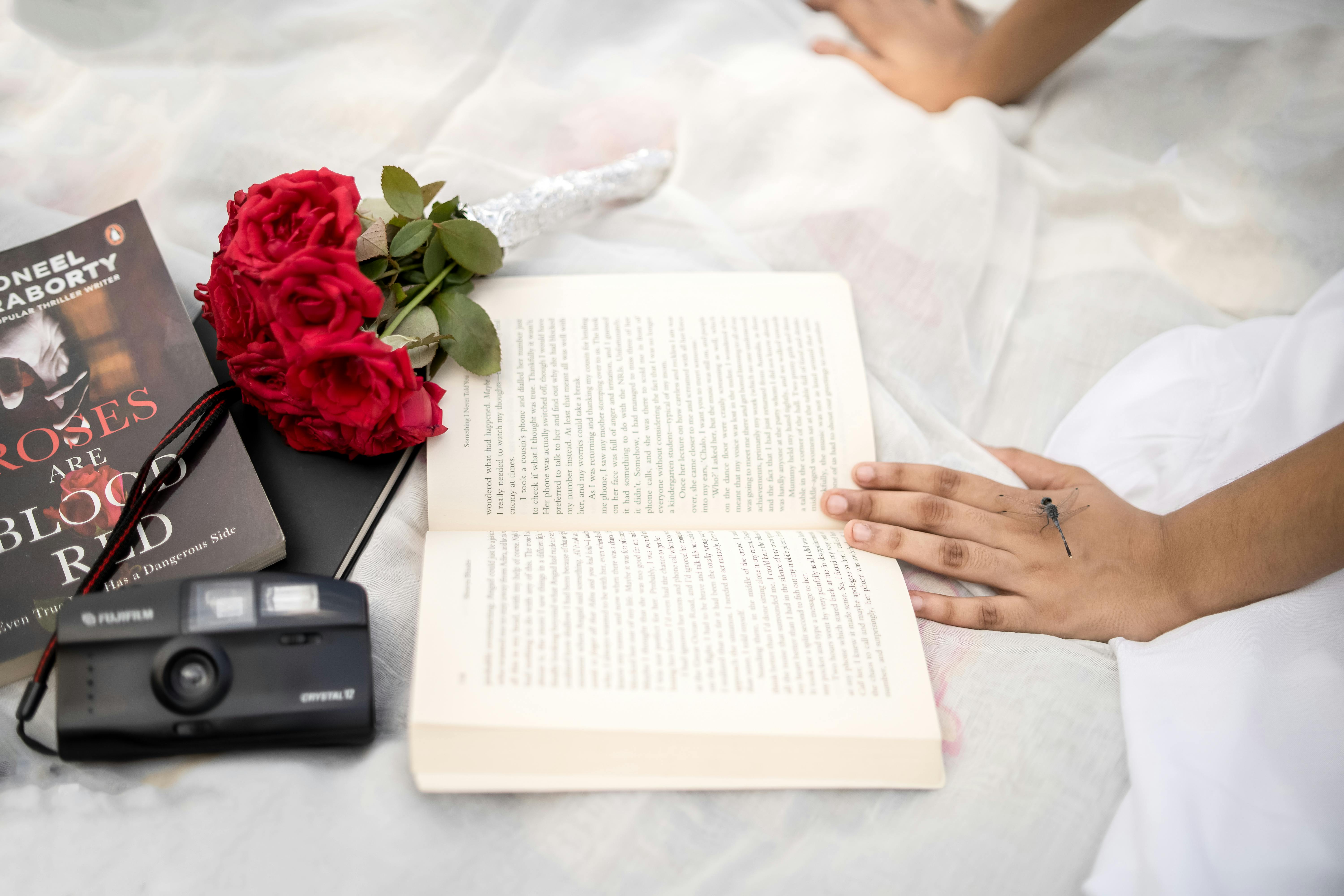 Red Roses With Camera And Books Photos, Download The BEST Free Red ...