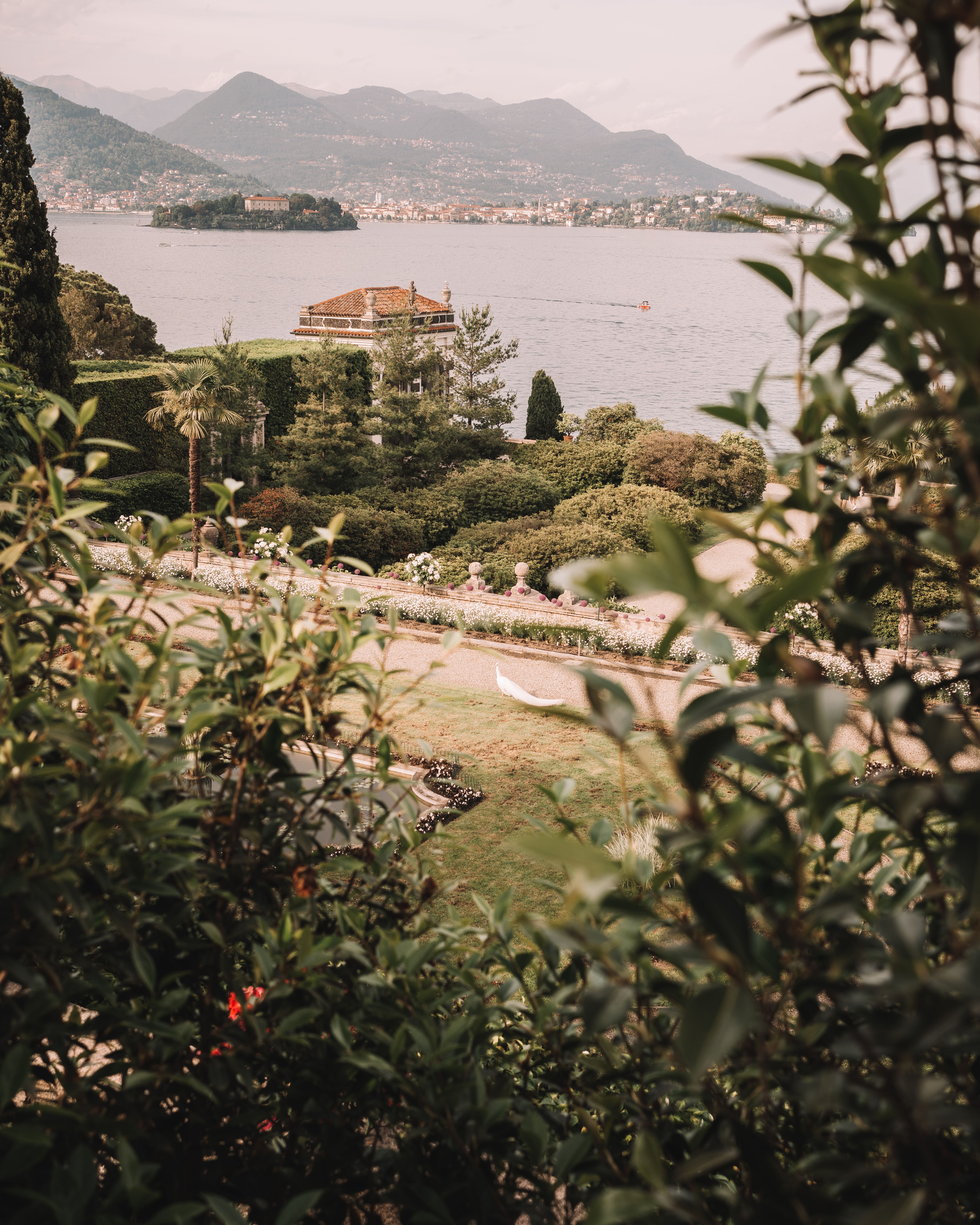 A Garden with View of the Lake Maggiore, Piedmont, Italy · Free Stock Photo