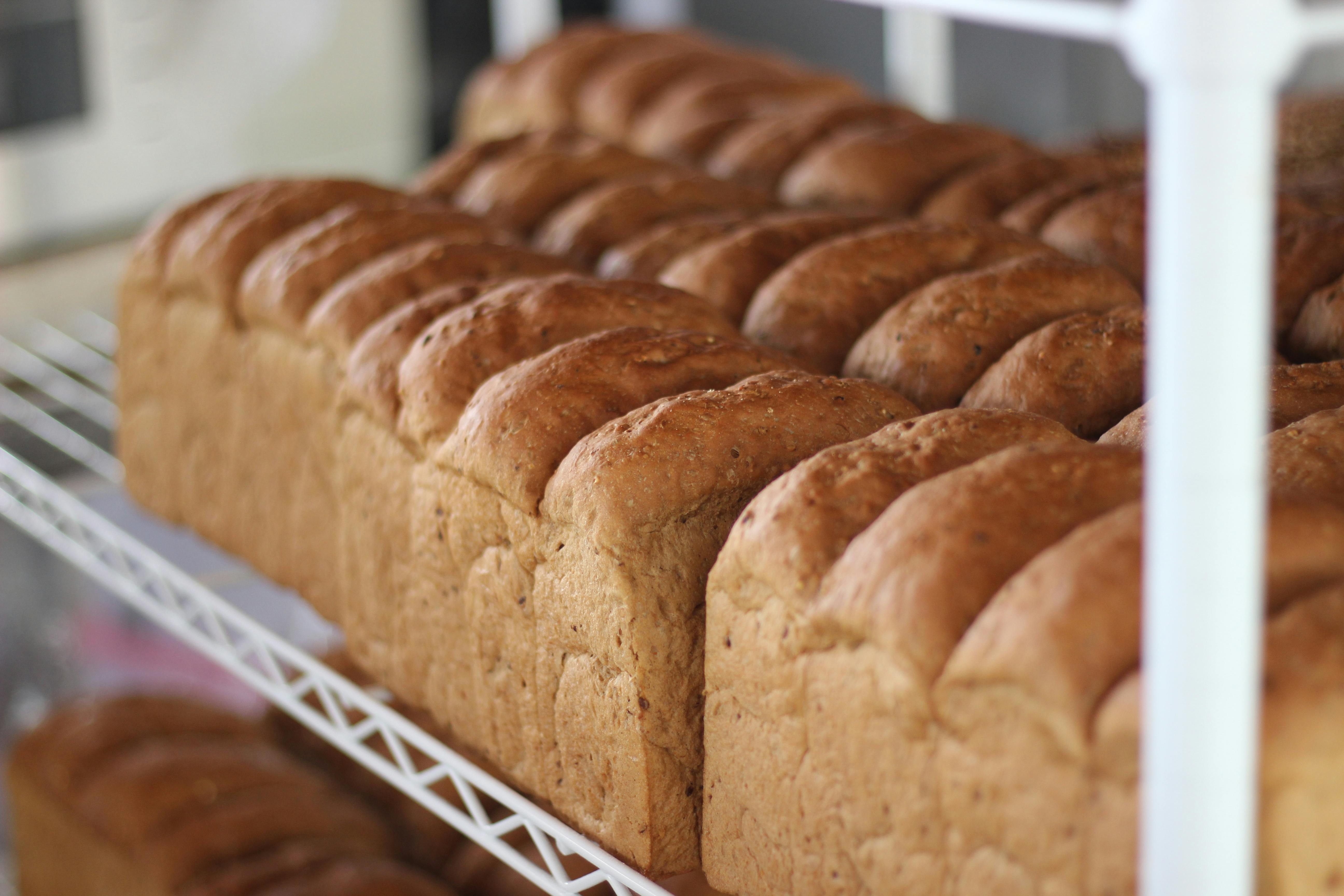 Israeli Bread Photos, Download The BEST Free Israeli Bread Stock Photos ...