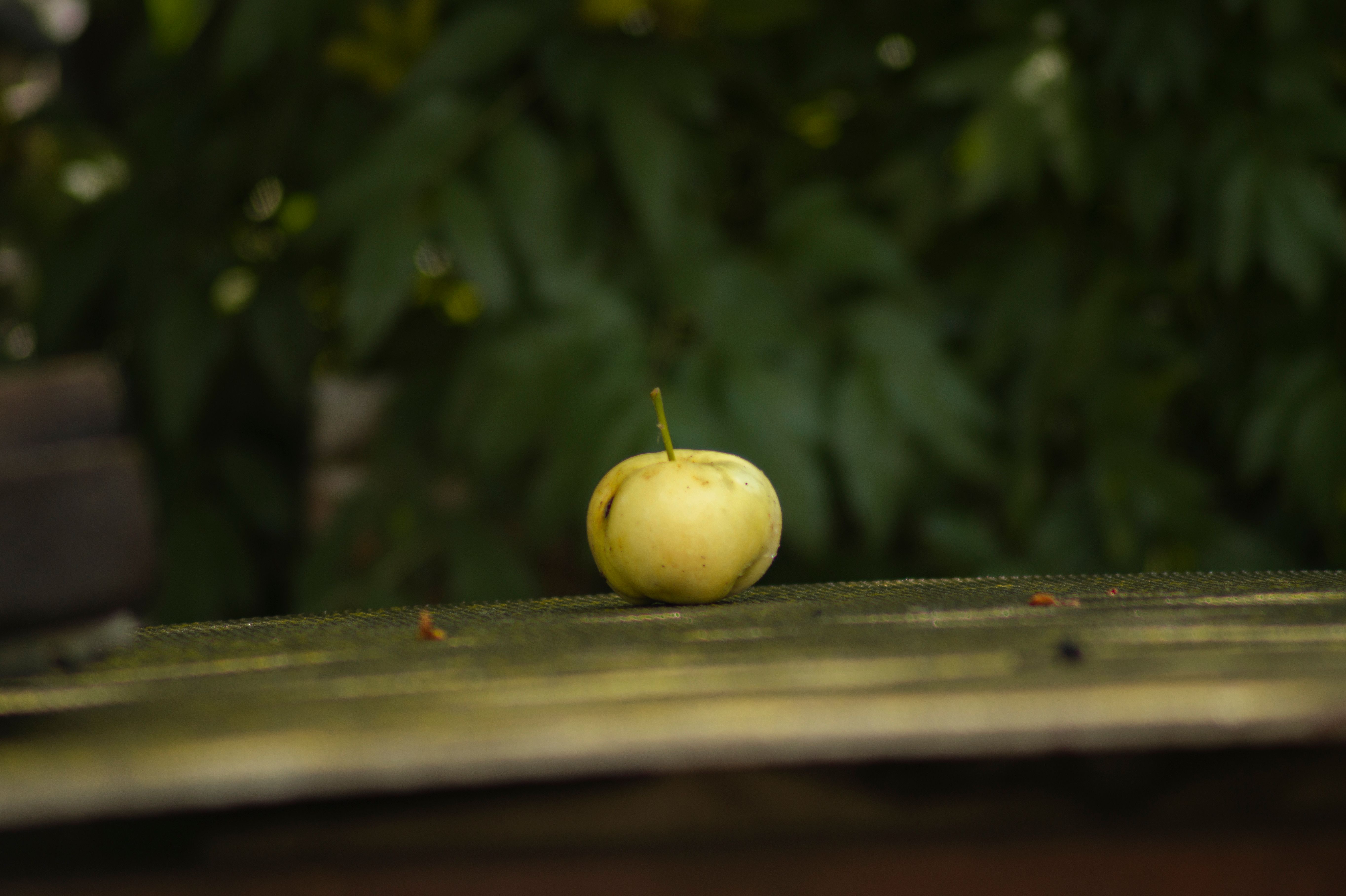 Green Apple in Nature · Free Stock Photo