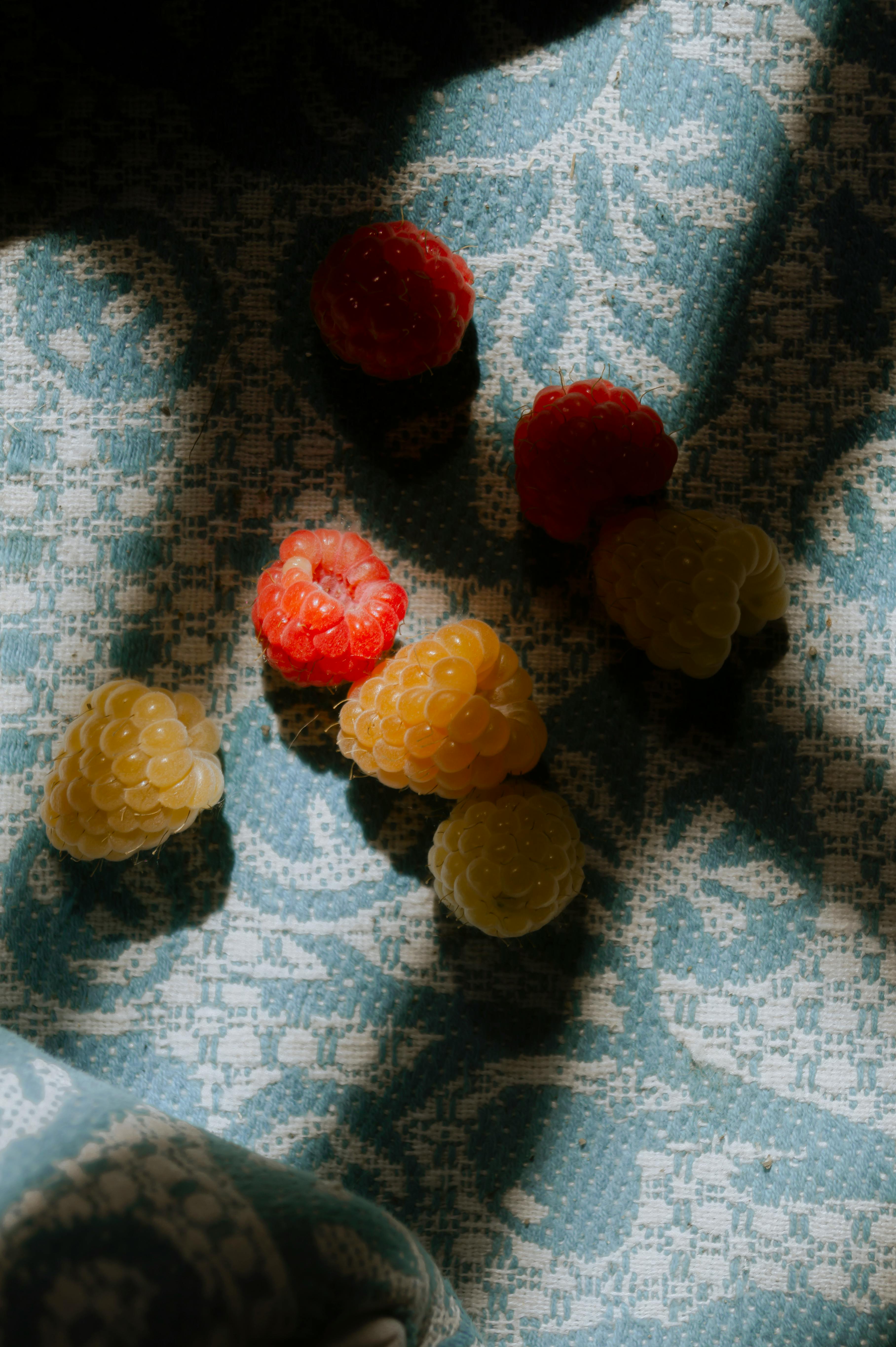 Dnipro Region Photos, Download The BEST Free Dnipro Region Stock Photos ...