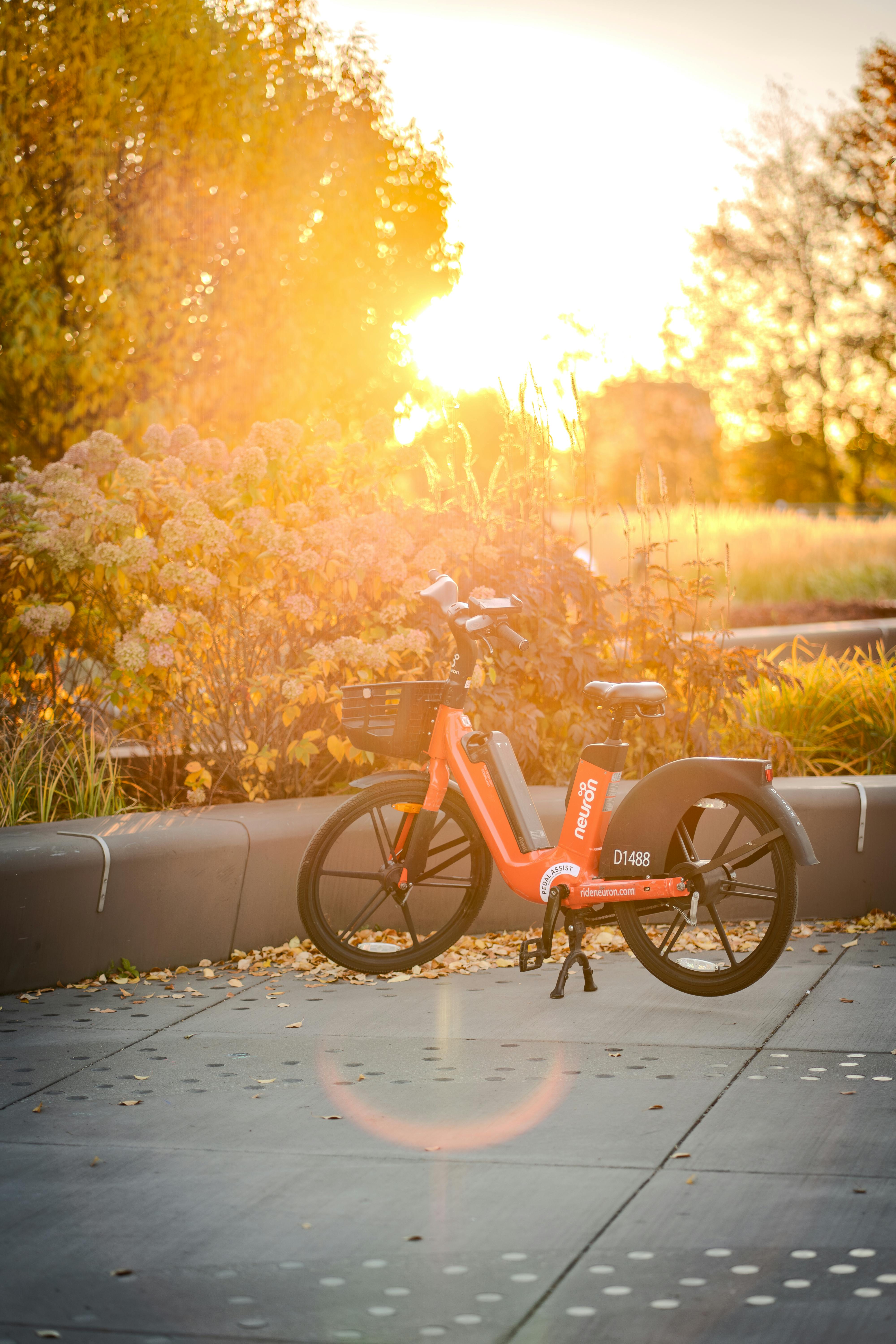 Alberta Studios - Photography