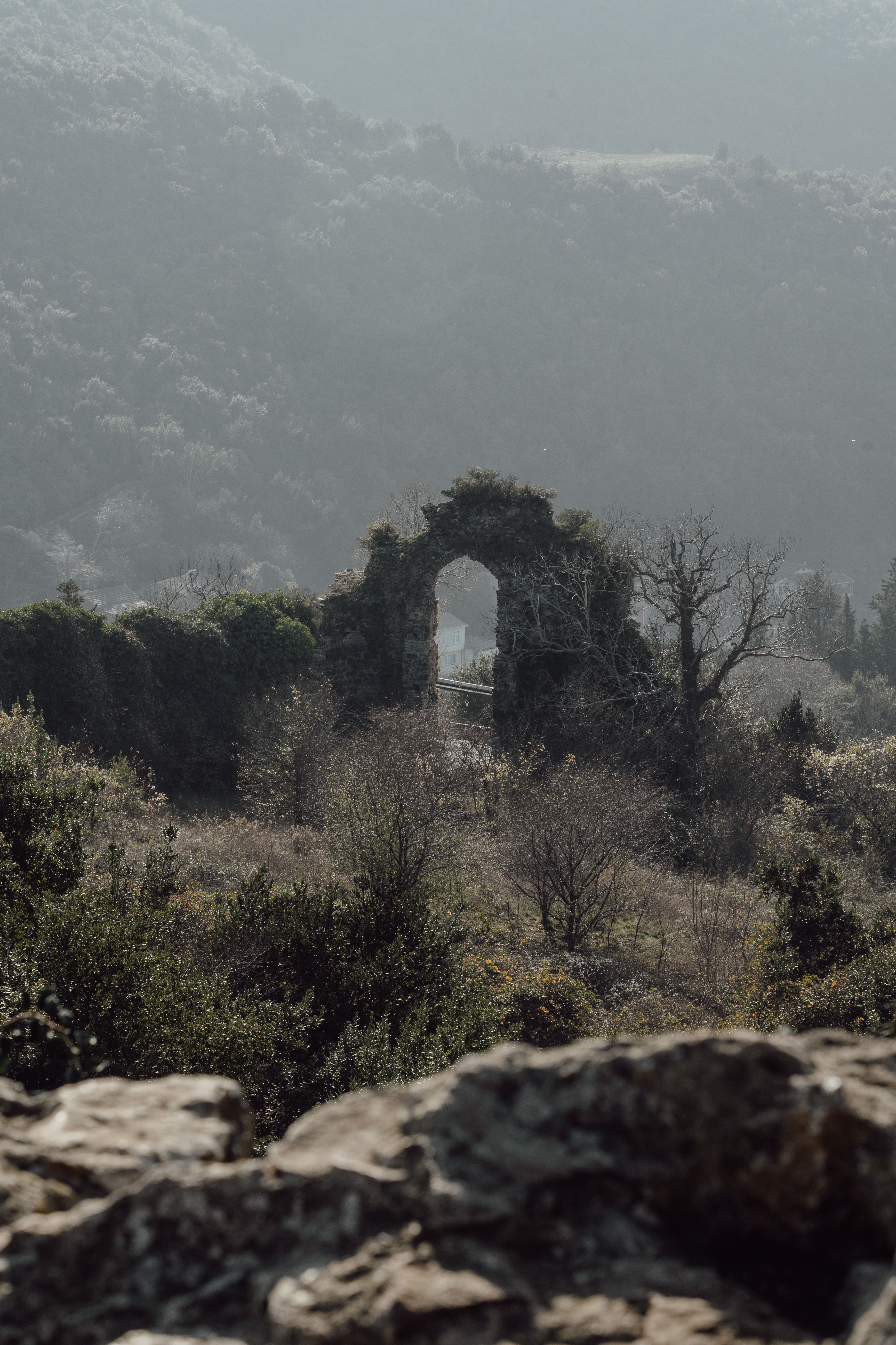 Trees around Ruins on Hill · Free Stock Photo