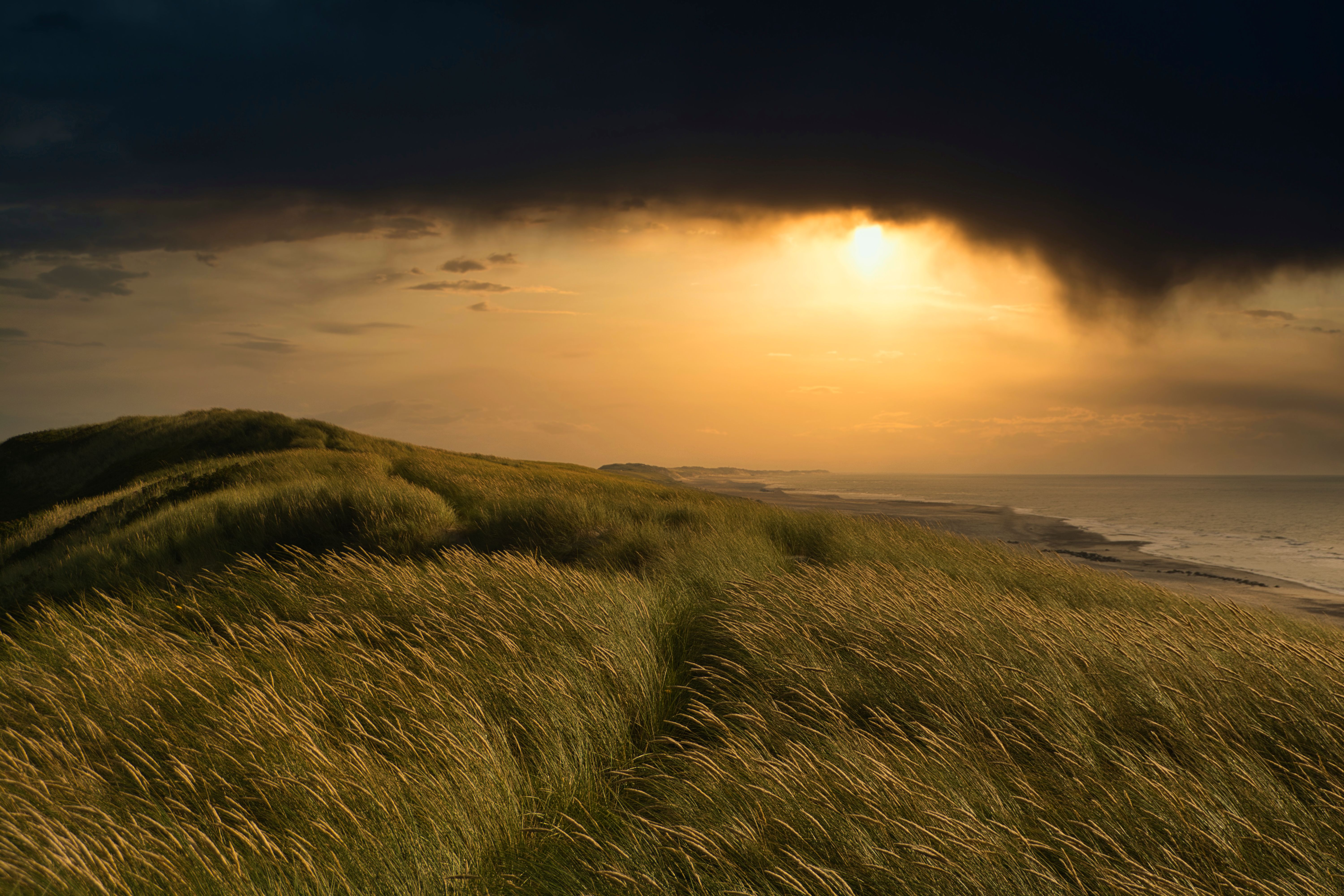 Grassland on Sea Coast at Sunset · Free Stock Photo