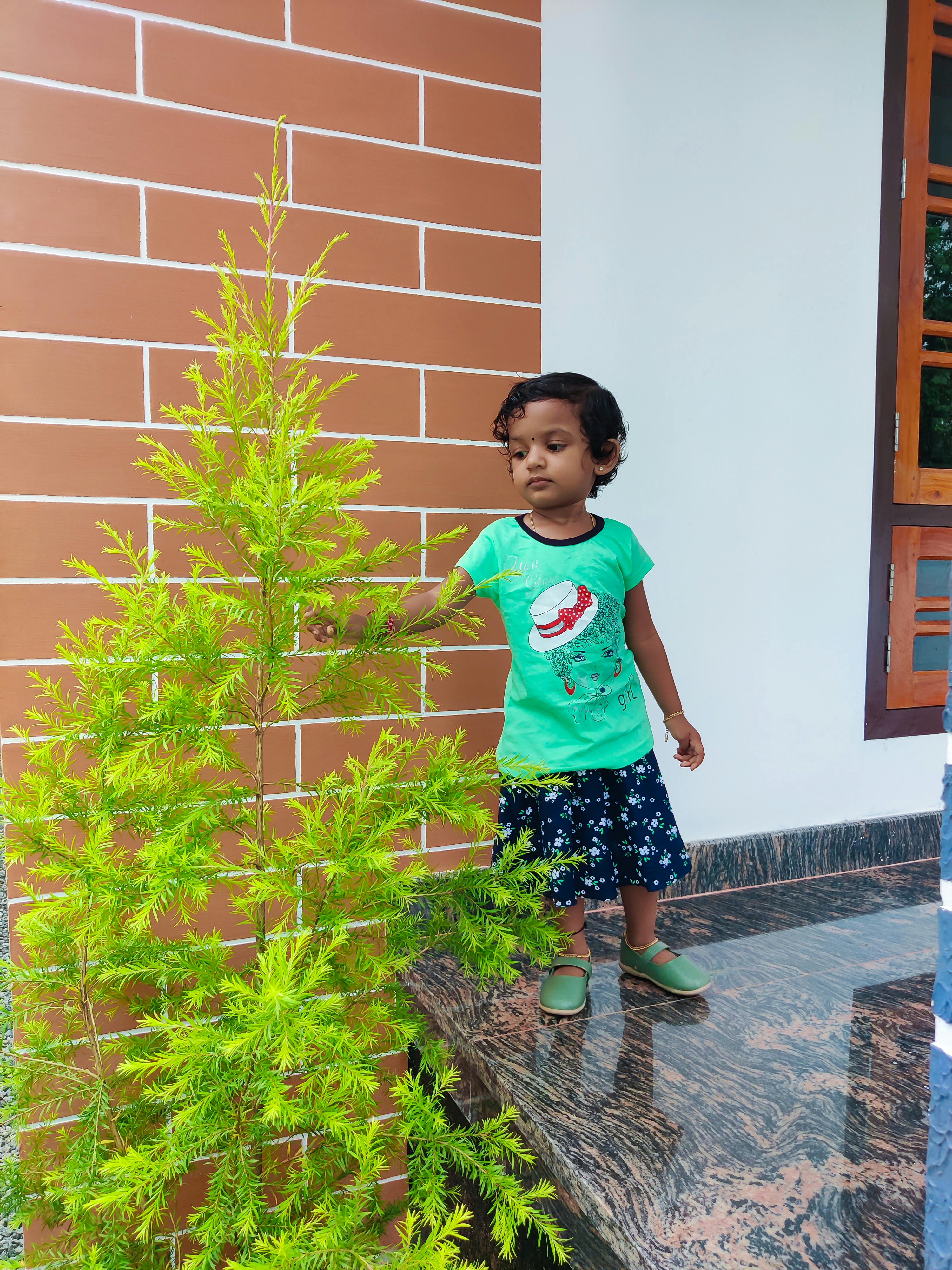 Anoop VS - Photography