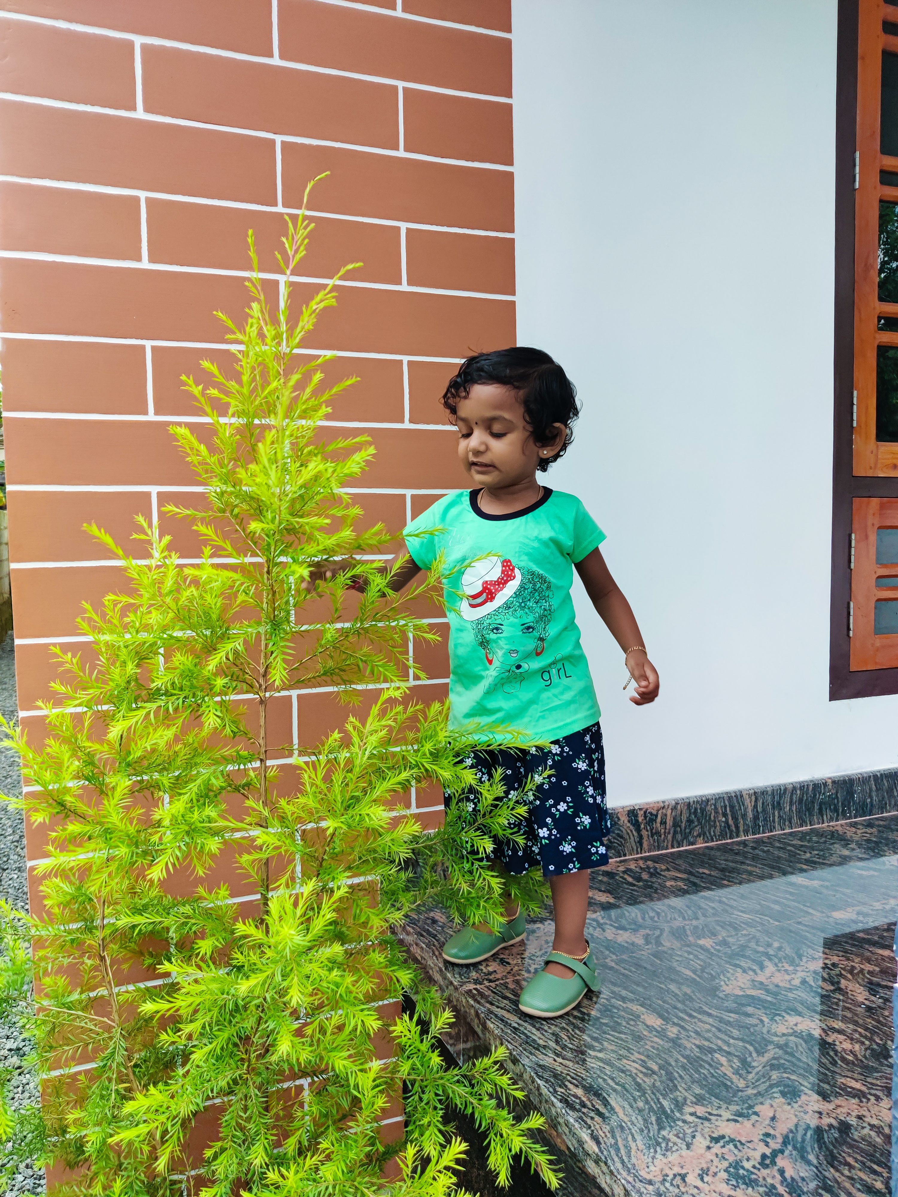 Anoop VS - Photography