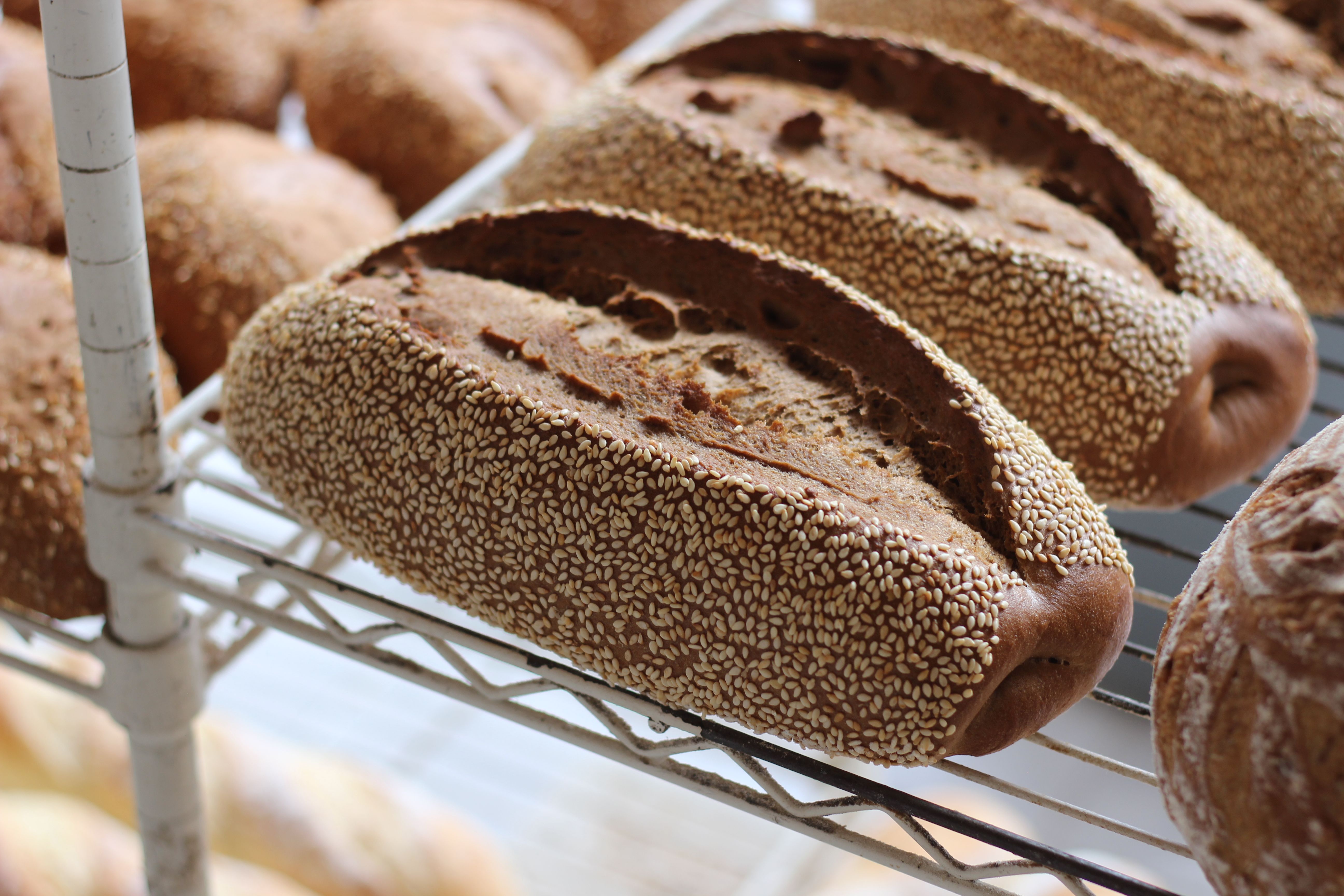 Multigrain Chapati Photos, Download The BEST Free Multigrain Chapati ...