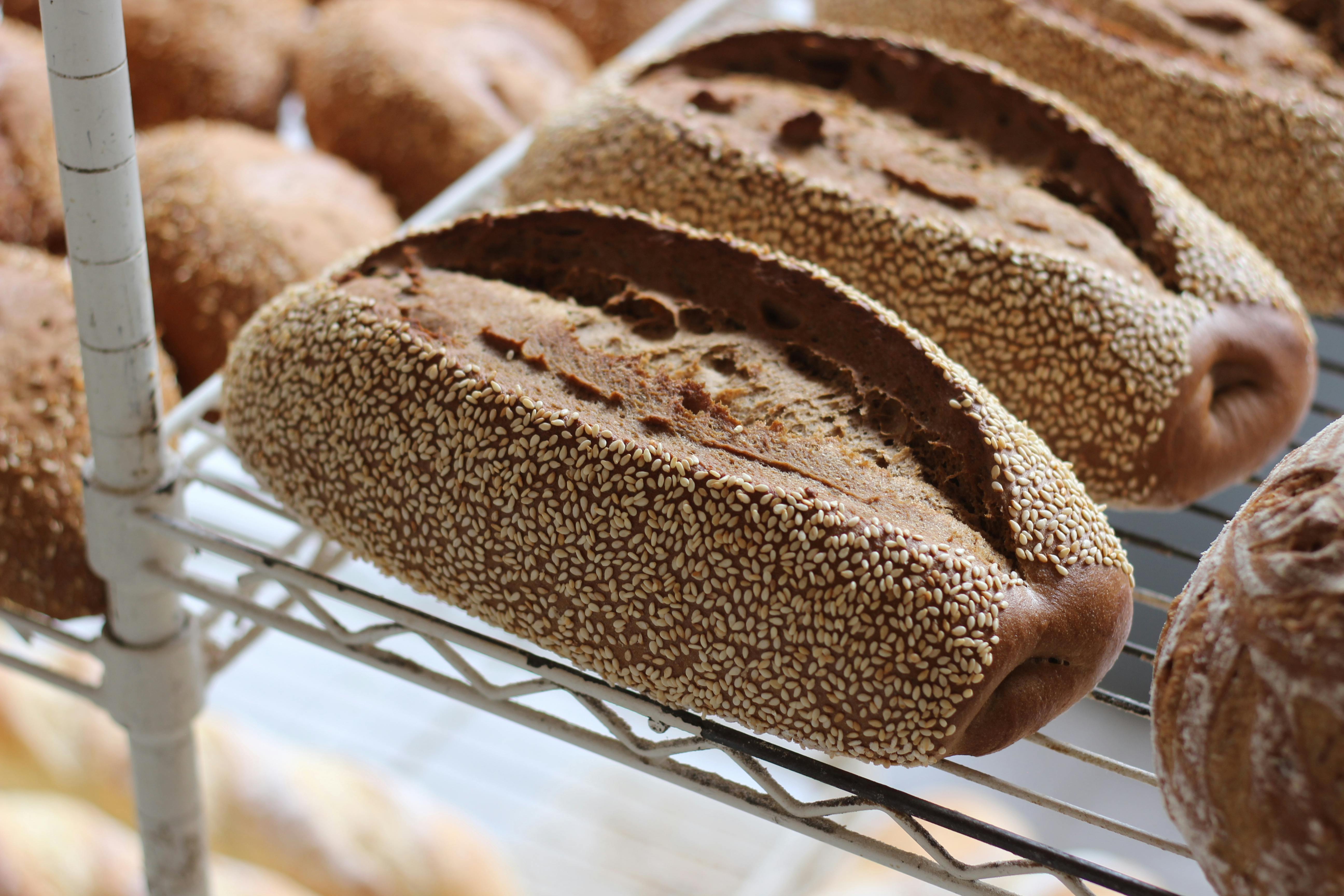 Yeast Photos, Download The BEST Free Yeast Stock Photos & HD Images