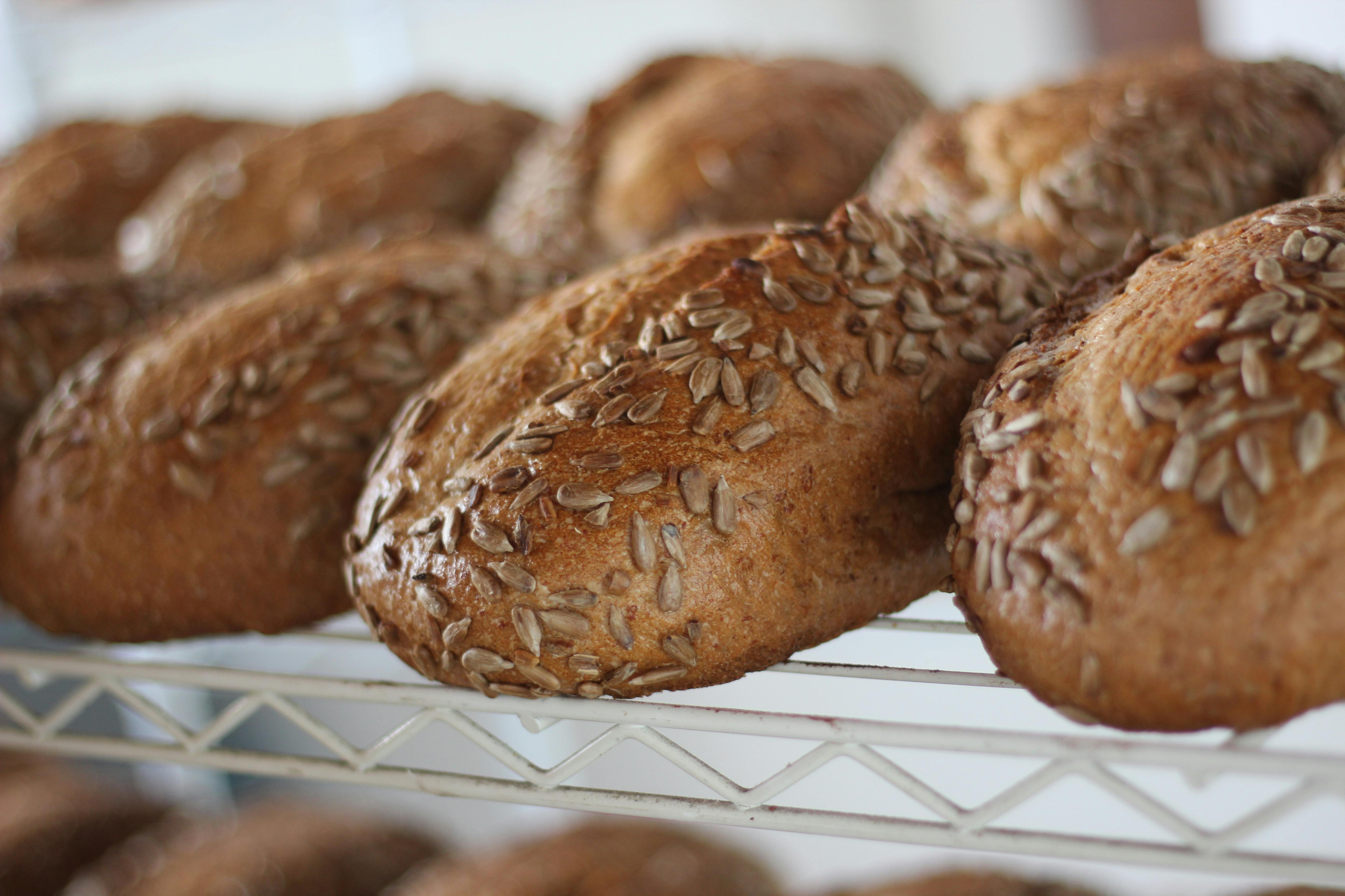 Yeast Photos, Download The BEST Free Yeast Stock Photos & HD Images