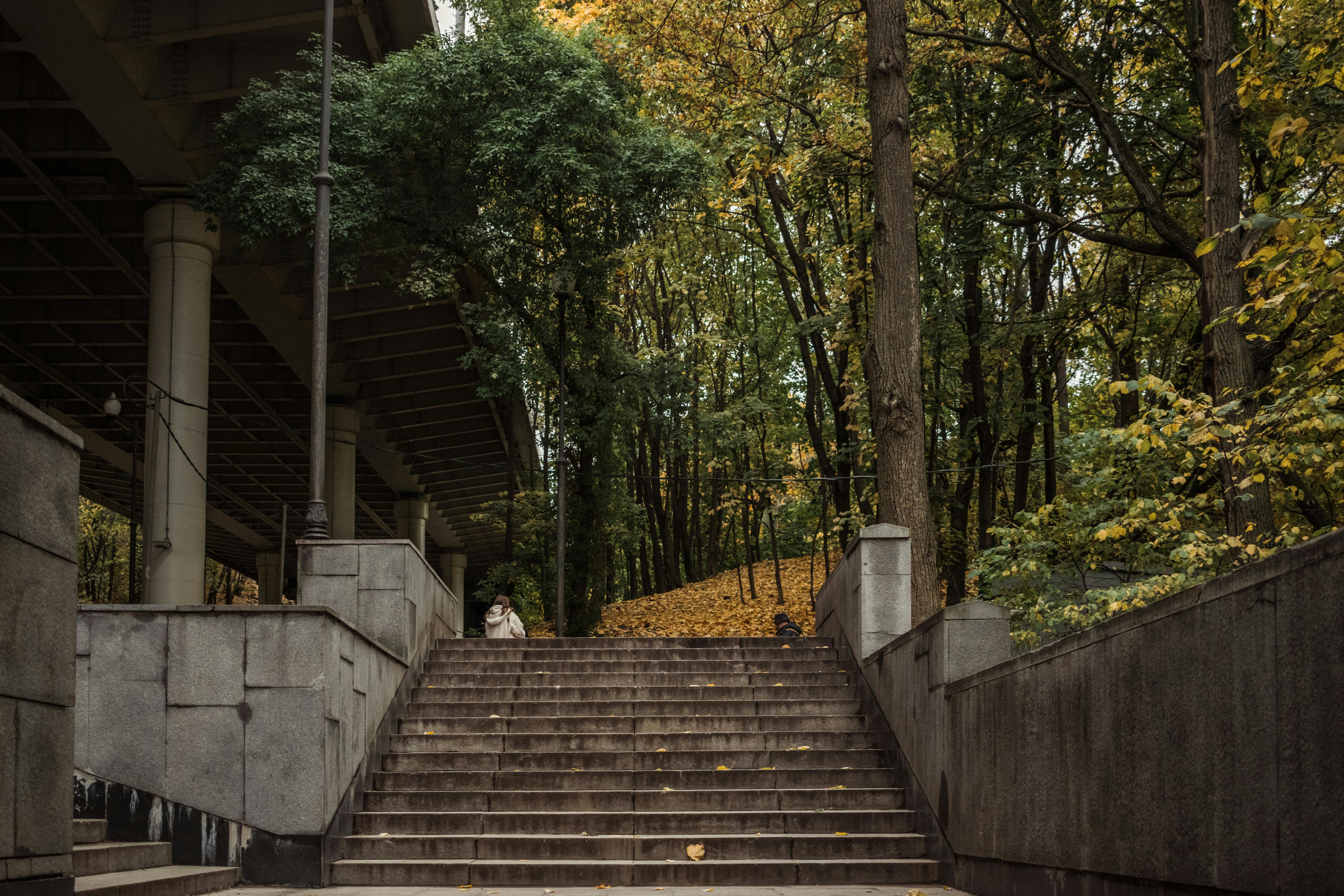 Stairs Under the Overpass Surrounded by Trees · Free Stock Photo