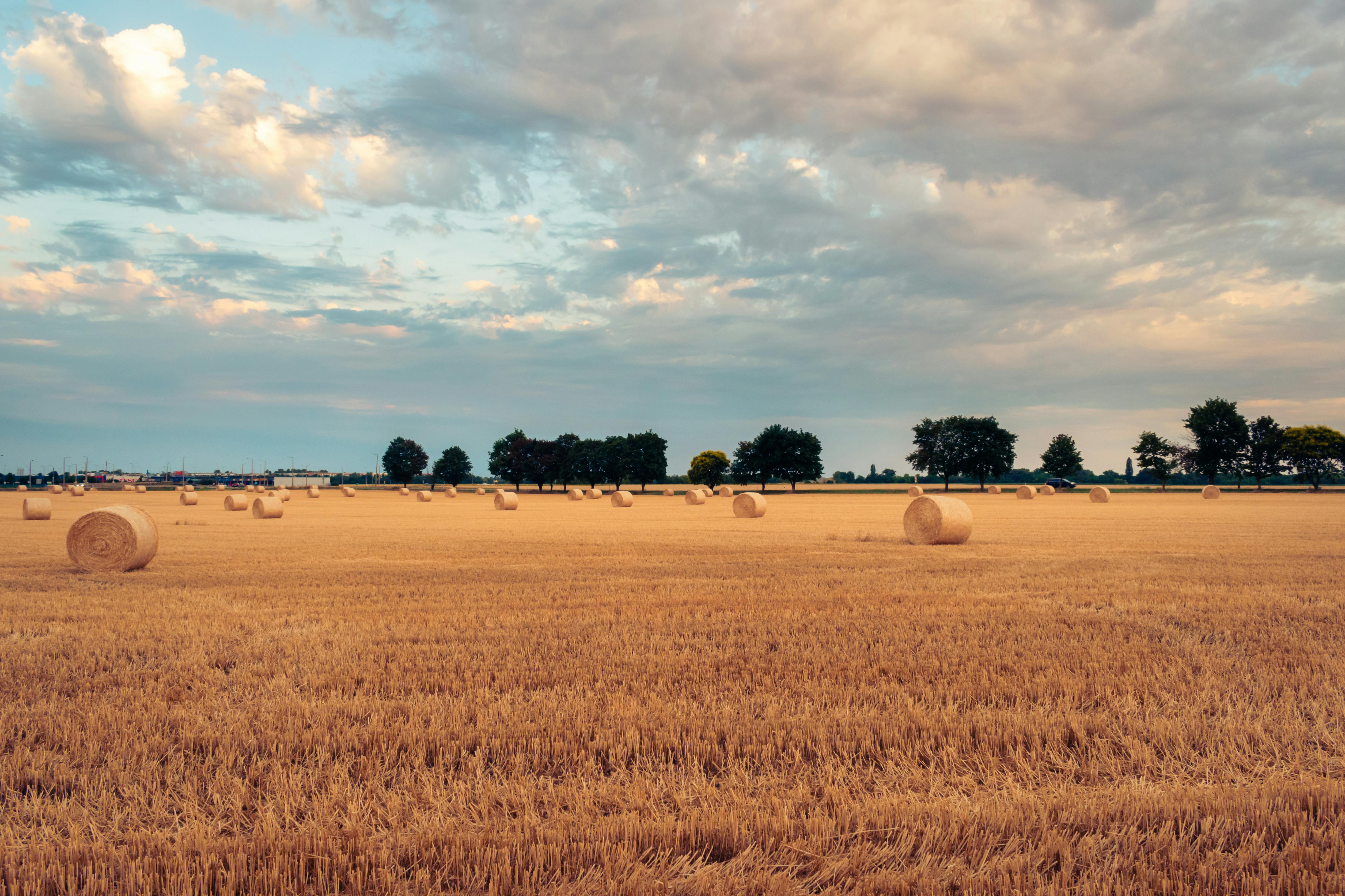 A field of hay bales with clouds in the sky · Free Stock Photo