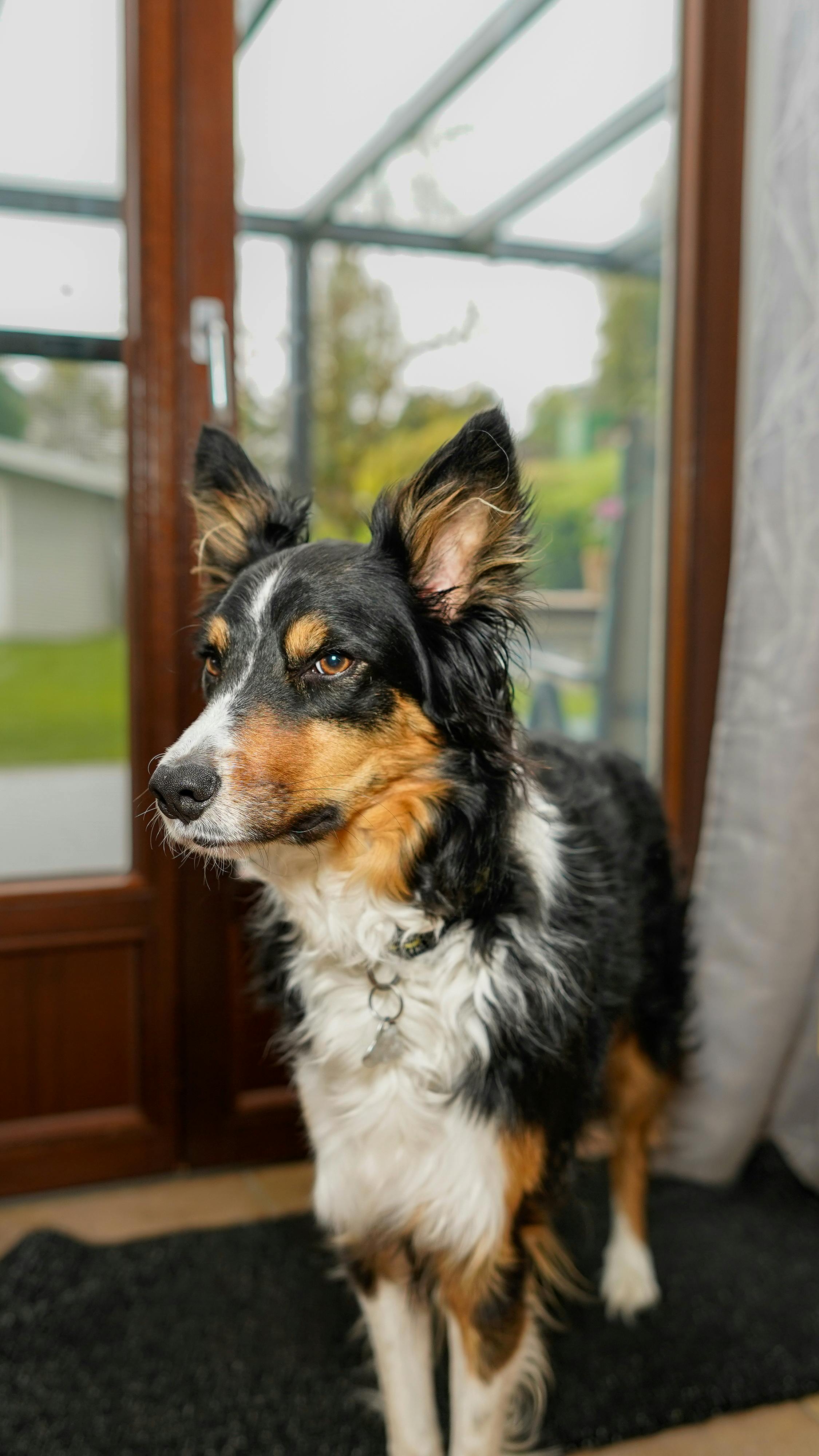 Batik Borders Photos, Download The BEST Free Batik Borders Stock Photos ...