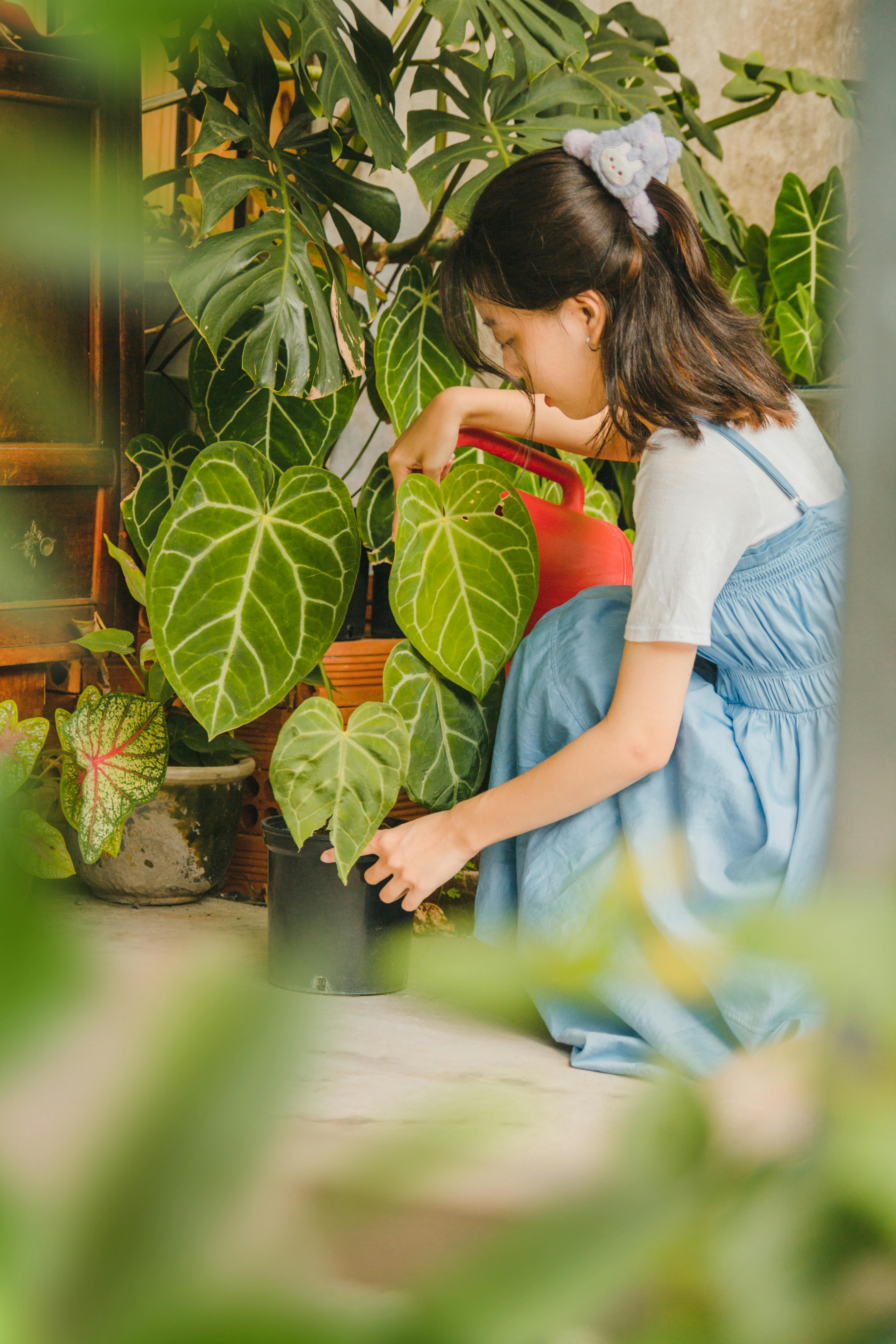 Woman Squatting and Watering Plants · Free Stock Photo