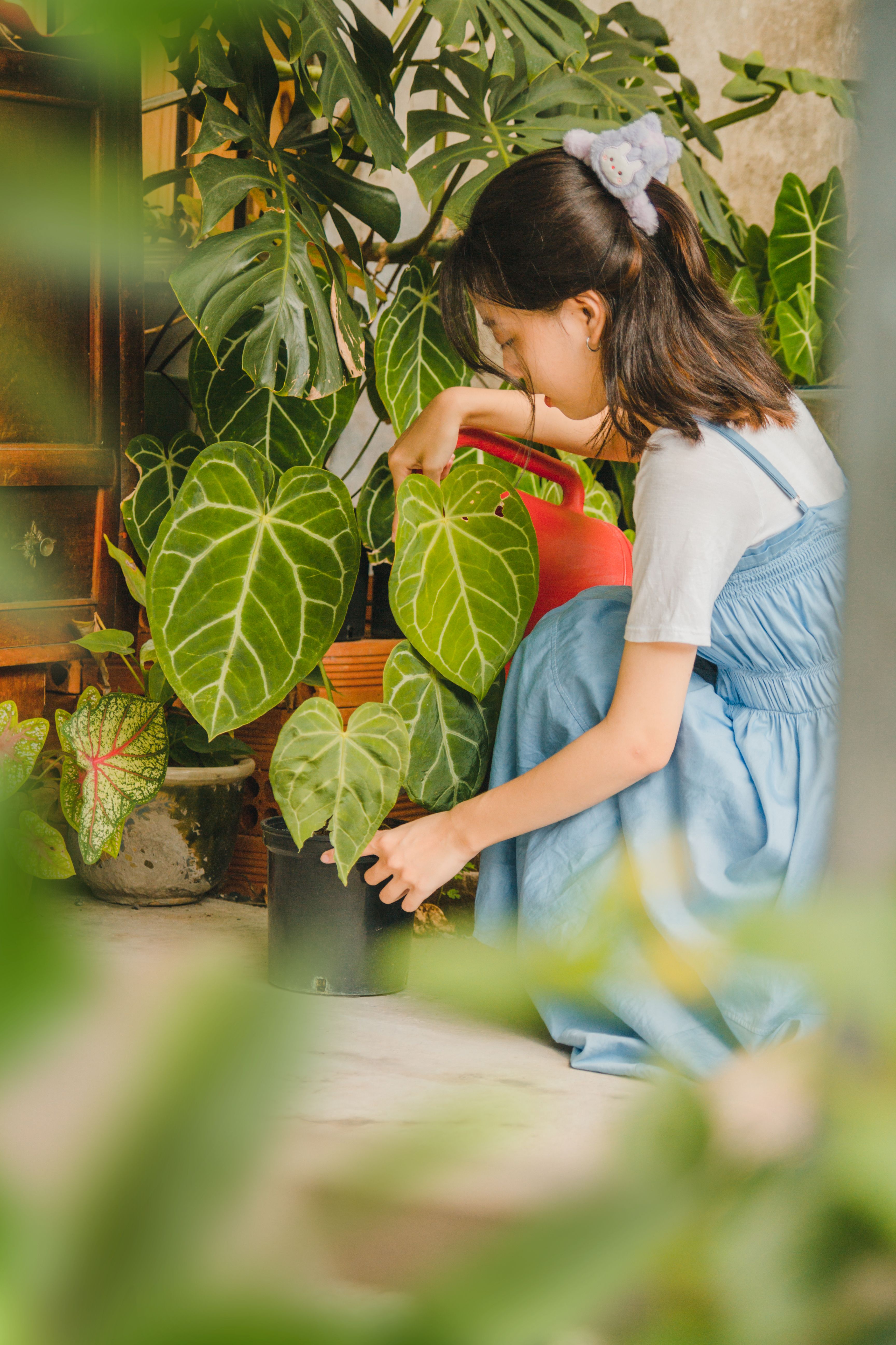 Girl With Plants Photos, Download The BEST Free Girl With Plants Stock ...